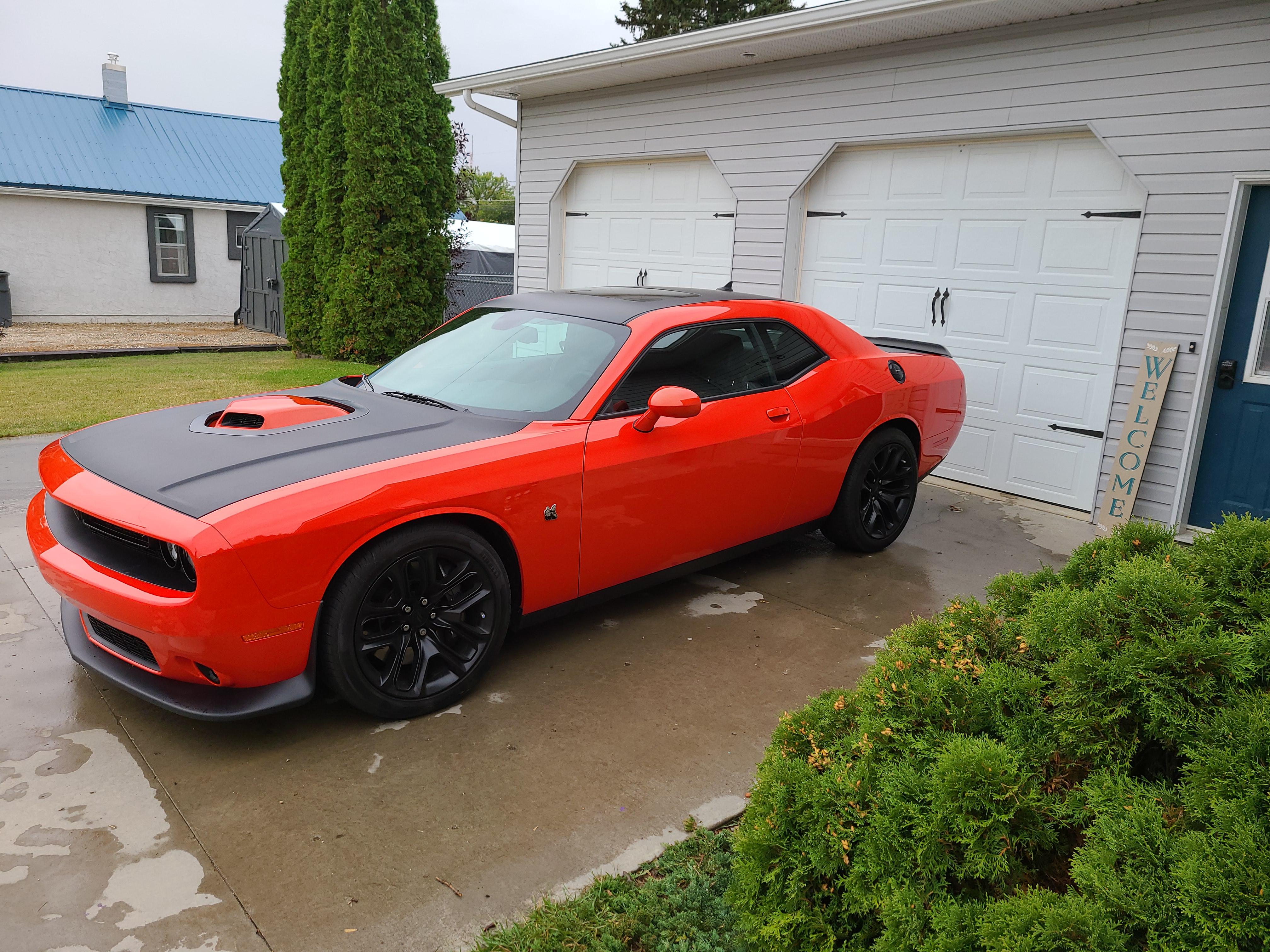 #03 of 70. 50th Anniversary Scat Pack Go Mango Shaker. | Scrolller