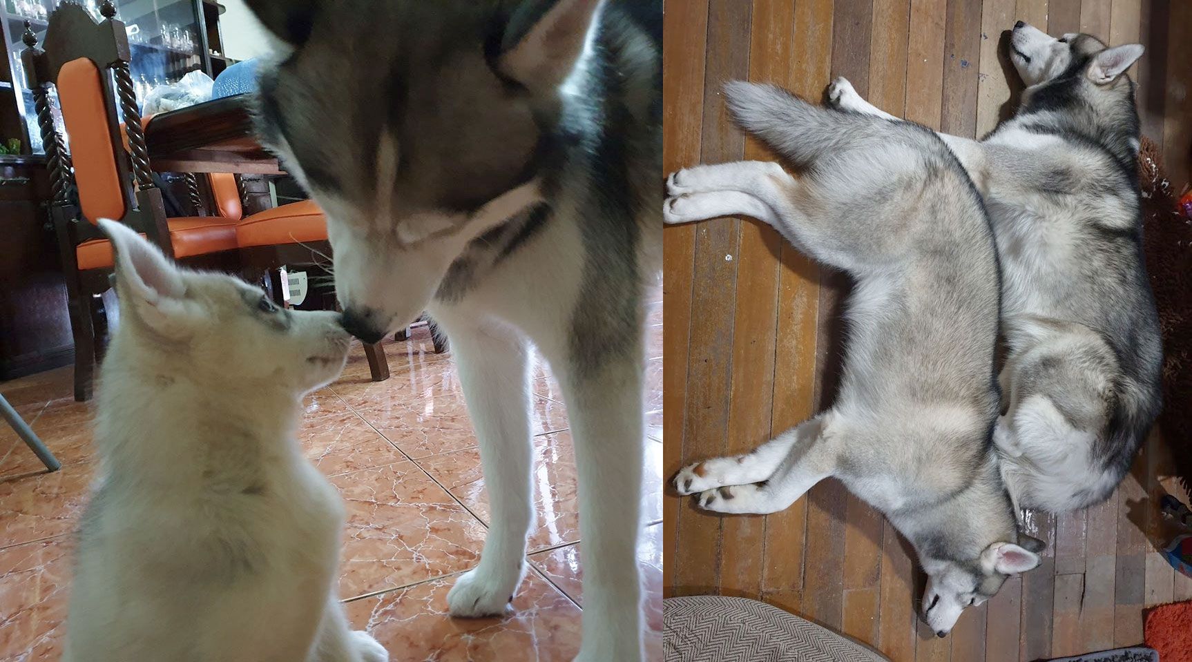 1 year makes a massive difference | Scrolller