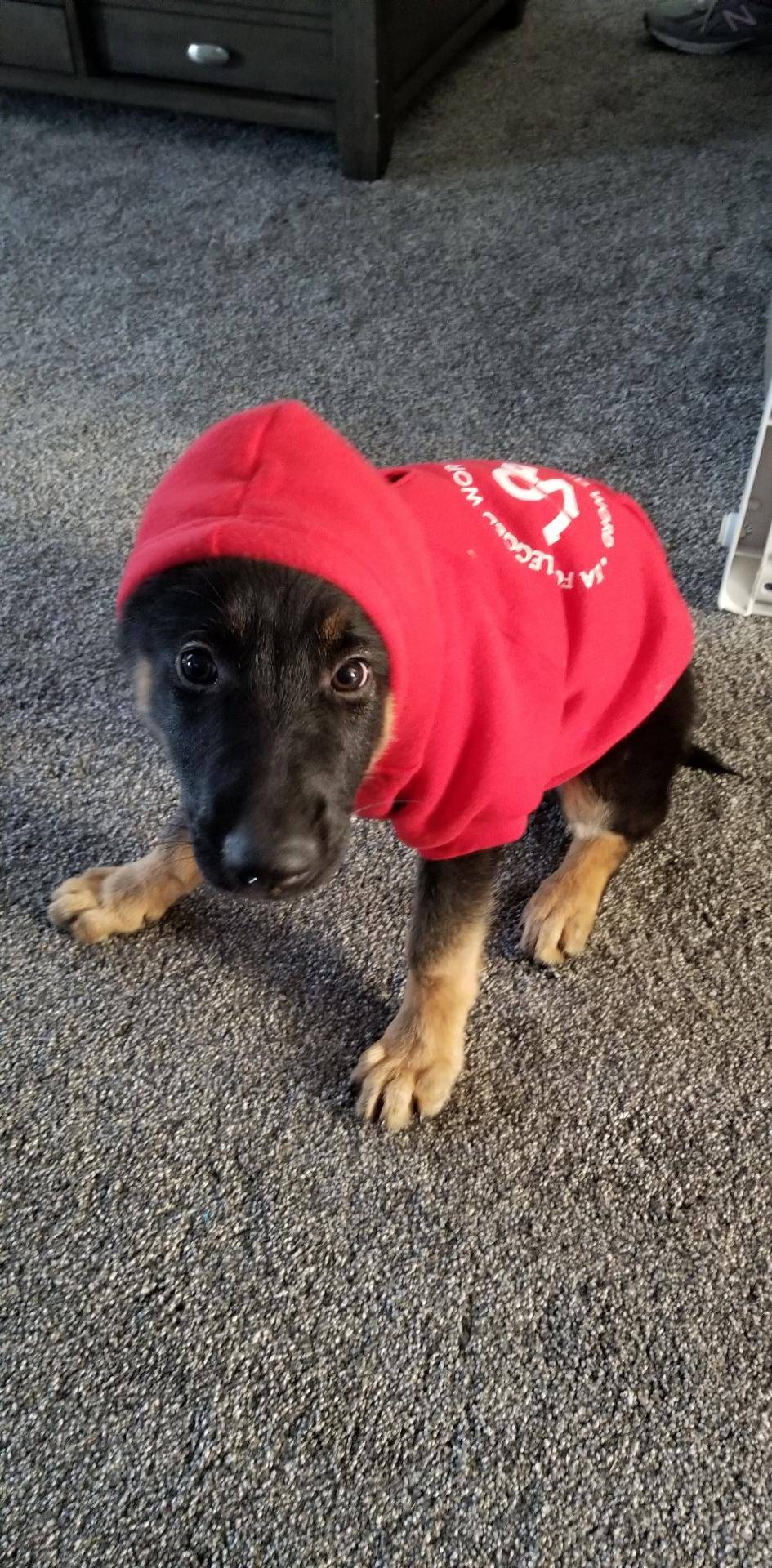 10 weeks old and ready to drop a beat | Scrolller