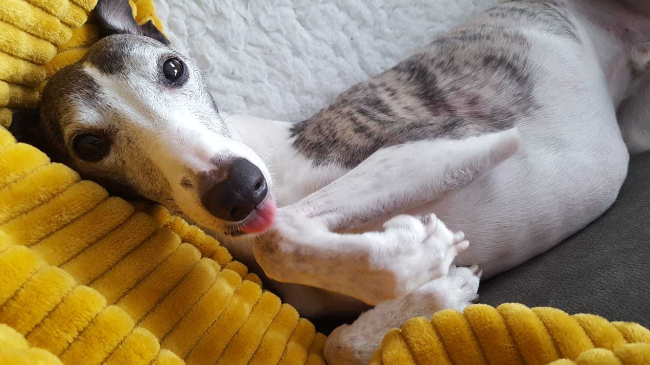 10 year old bleb | Scrolller