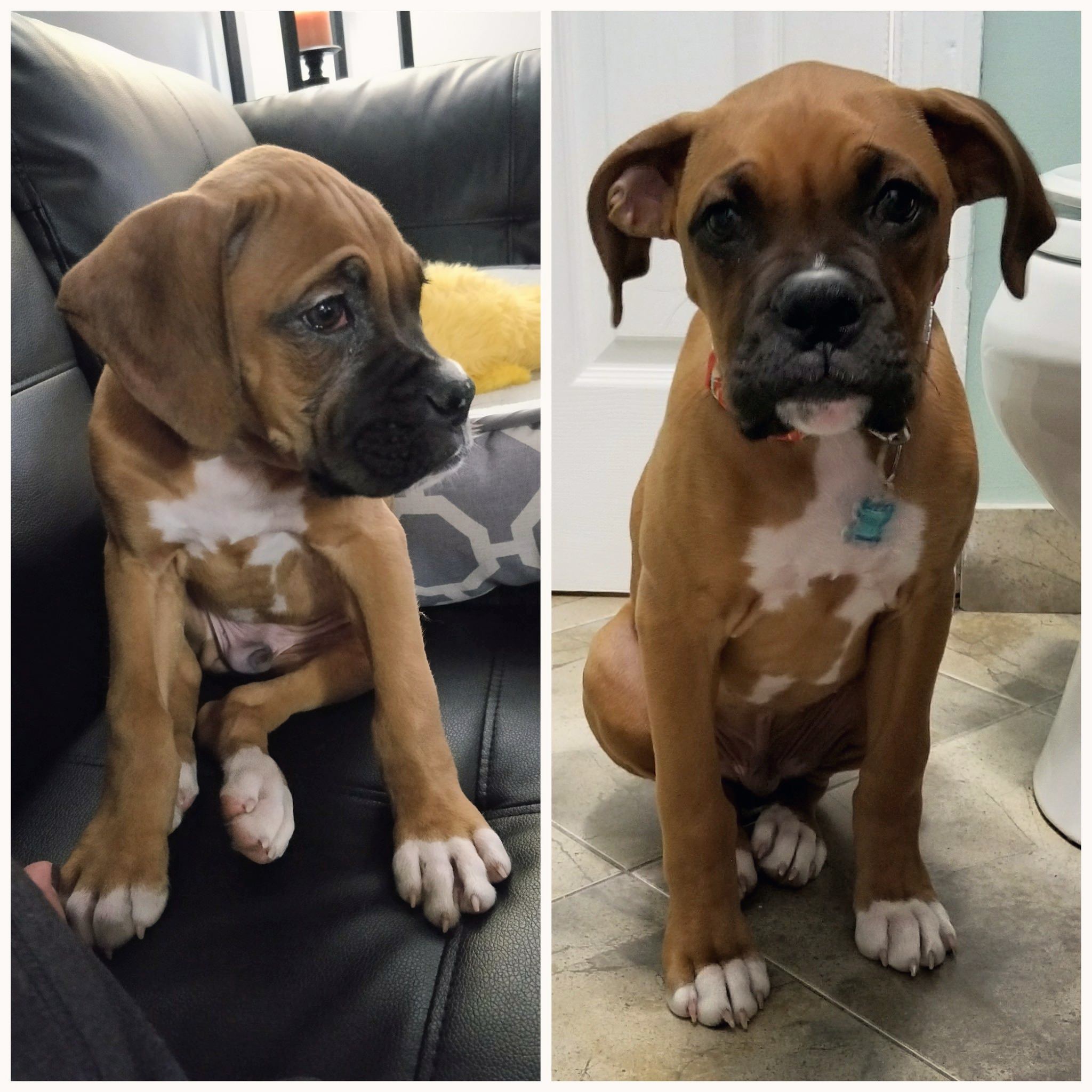 11 weeks vs 16 weeks | Scrolller