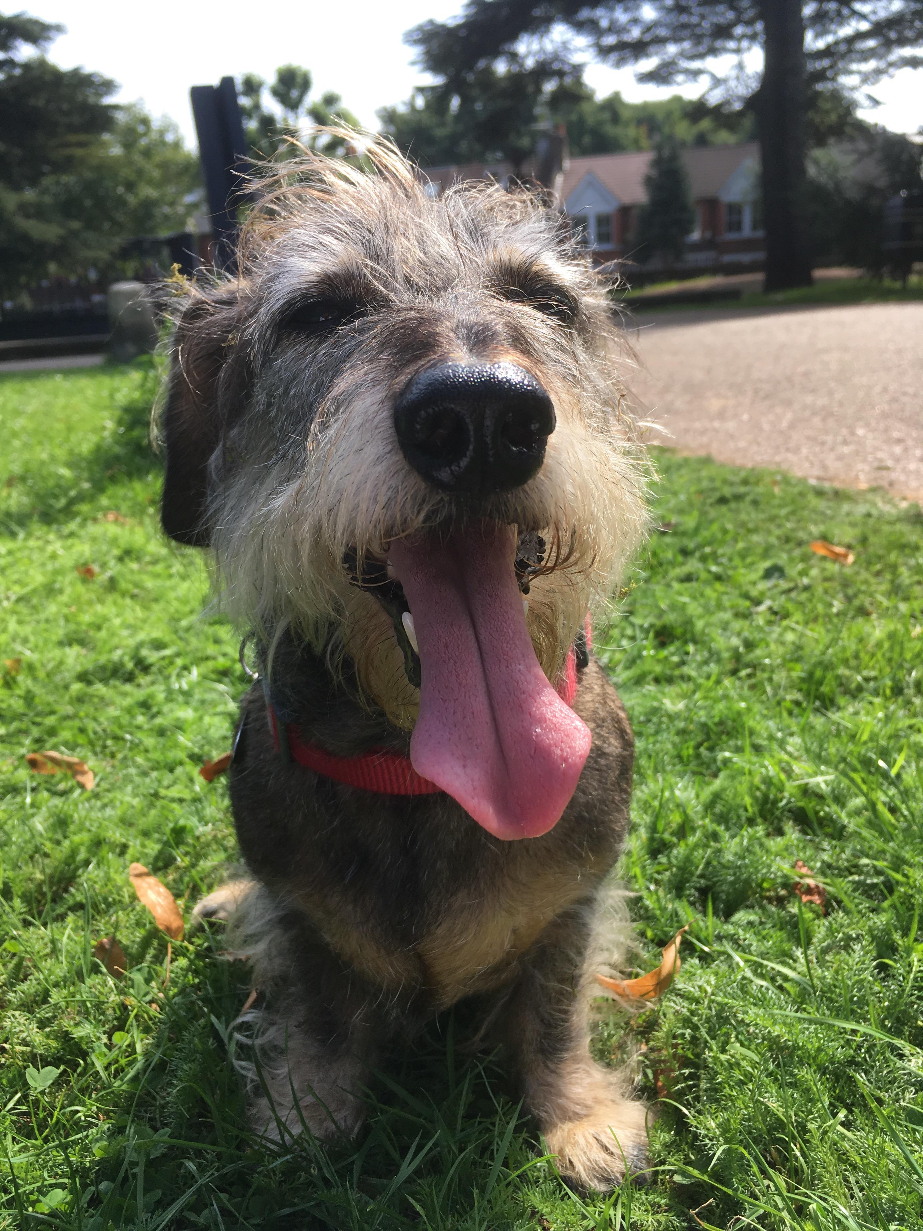 13 Year Old Dennis | Scrolller