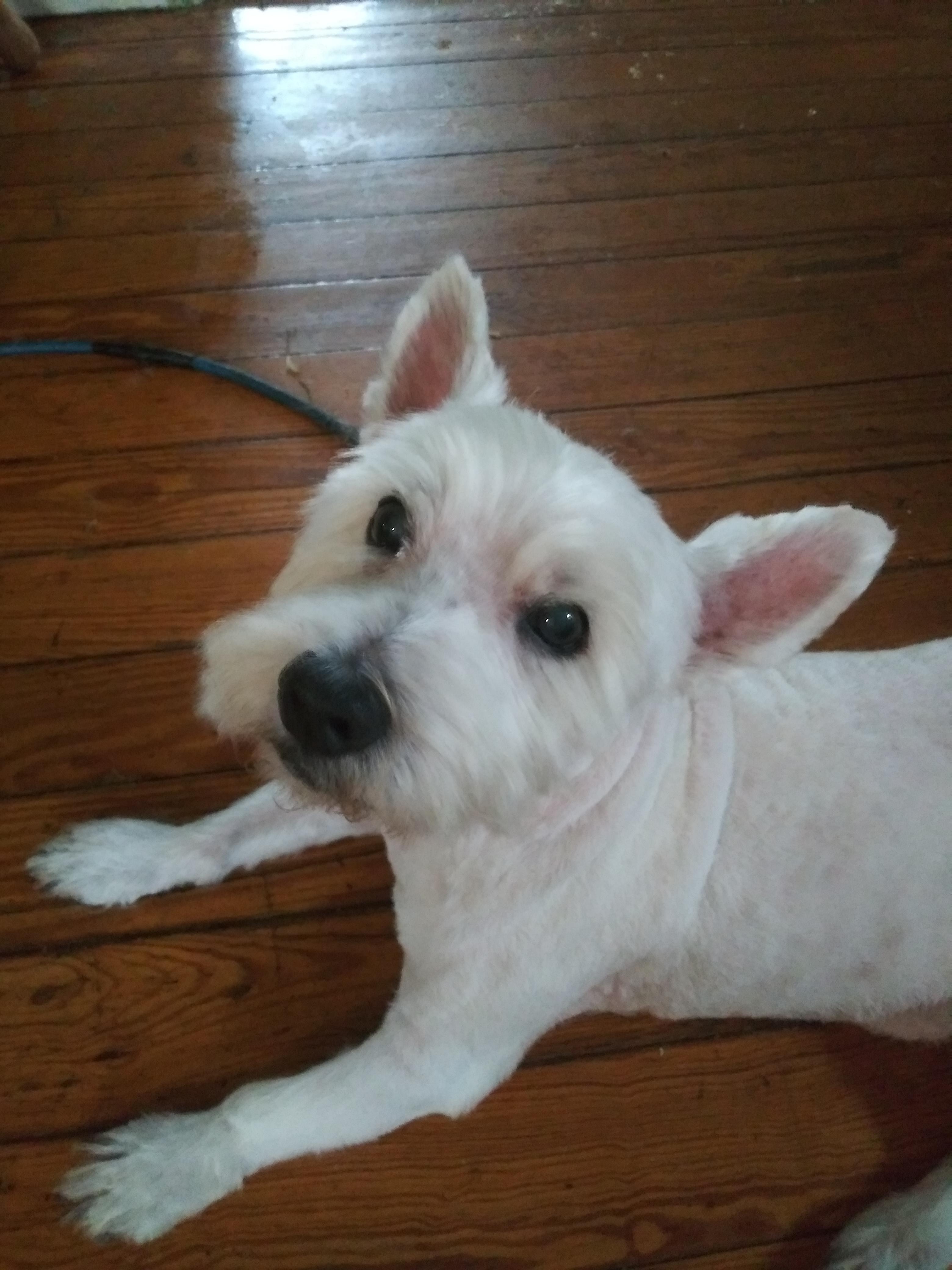 15 years old and full of sass! | Scrolller