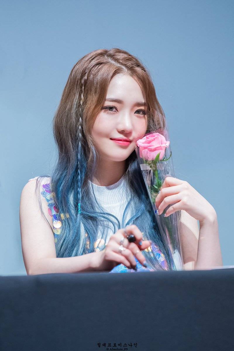 Jisun rose | Scrolller