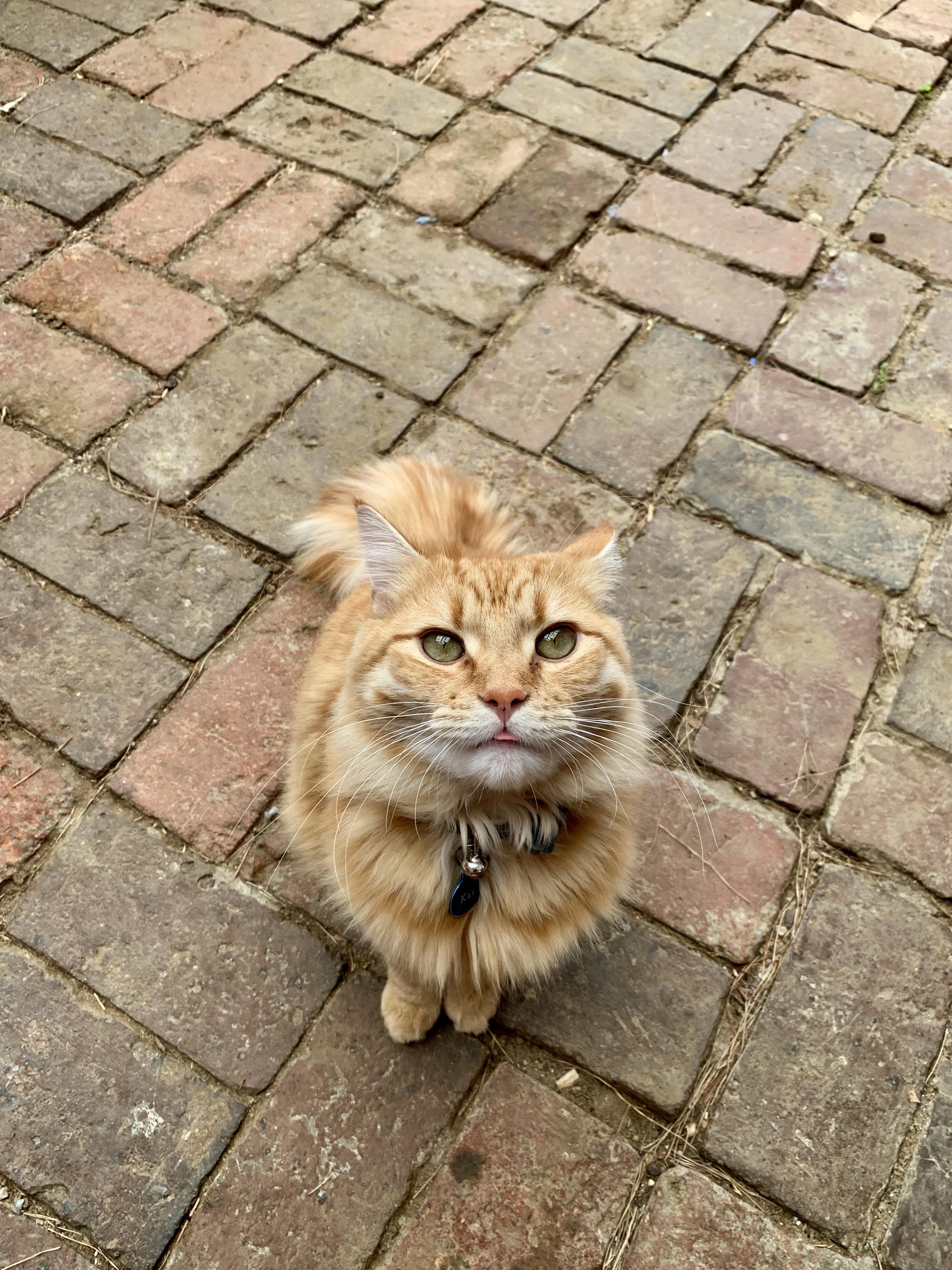 Discover more like Blep: 1st birthday blep and Related Content | Scrolller