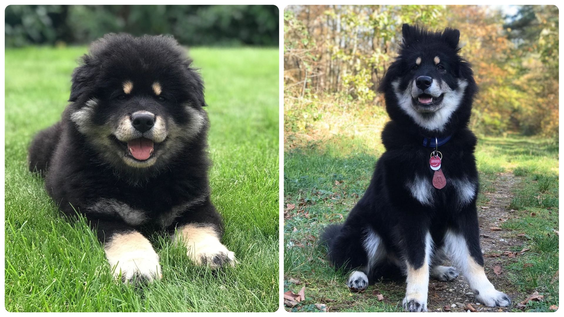 2 months vs. 6 months | Scrolller