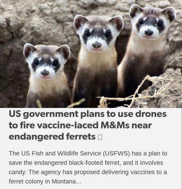 200,000 years of human existence. This is what we have been waiting for ...