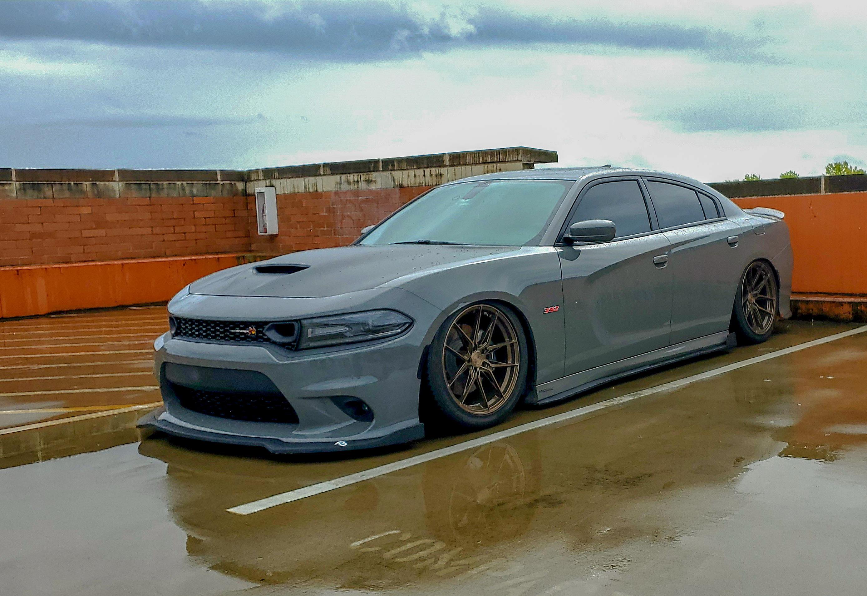 2019 scat, updated pic. Bagged, and stuff :) | Scrolller