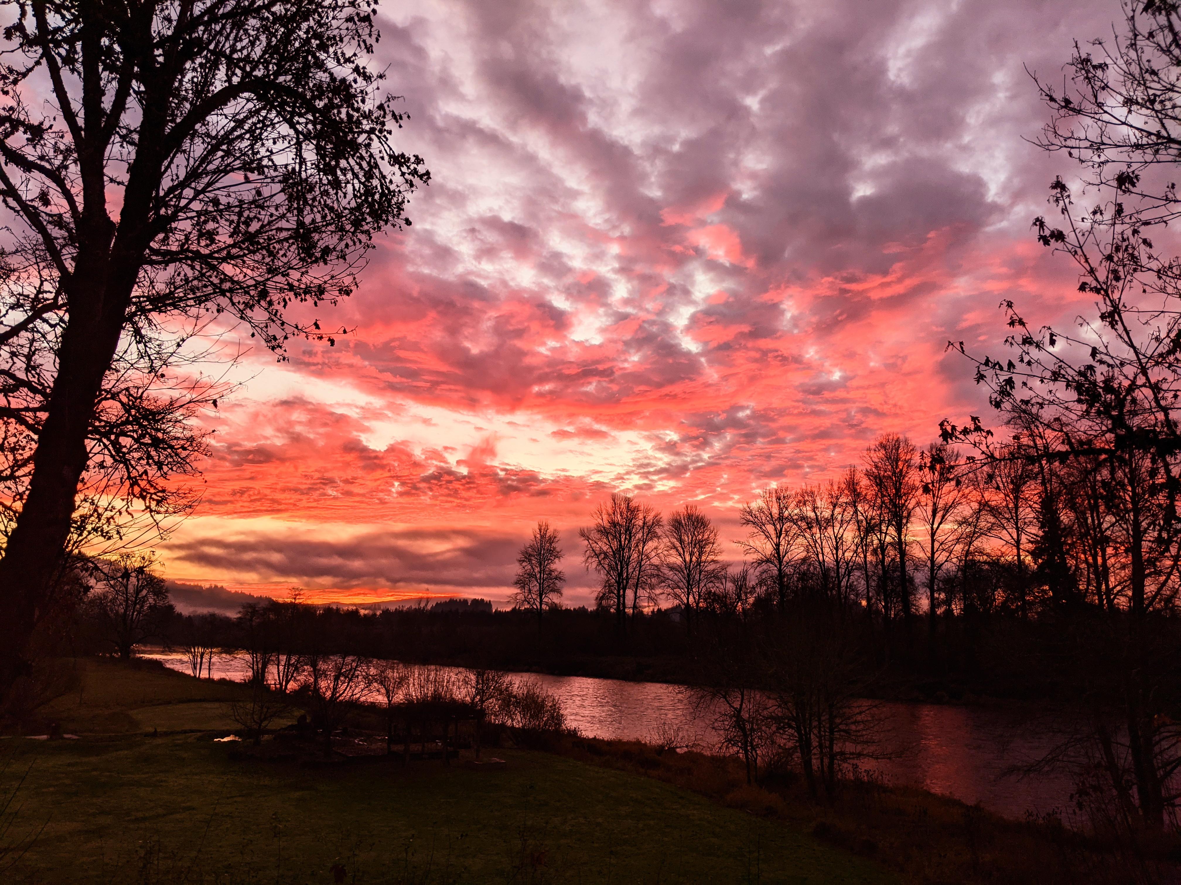2020 existential dread mitigated by stunning sunrise. We got this, Eugene. | Scrolller