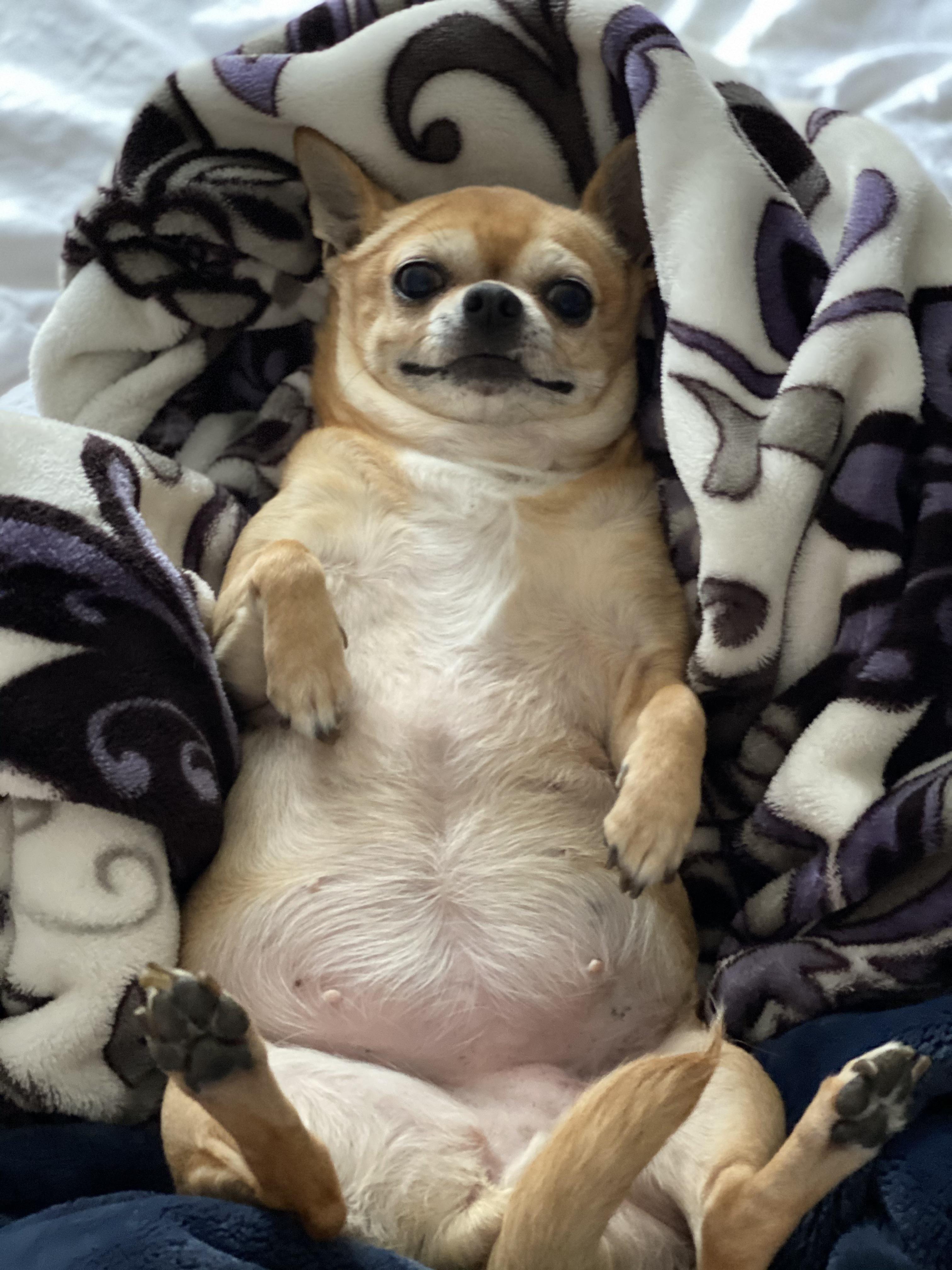 2021 isn't stressing my squish out | Scrolller