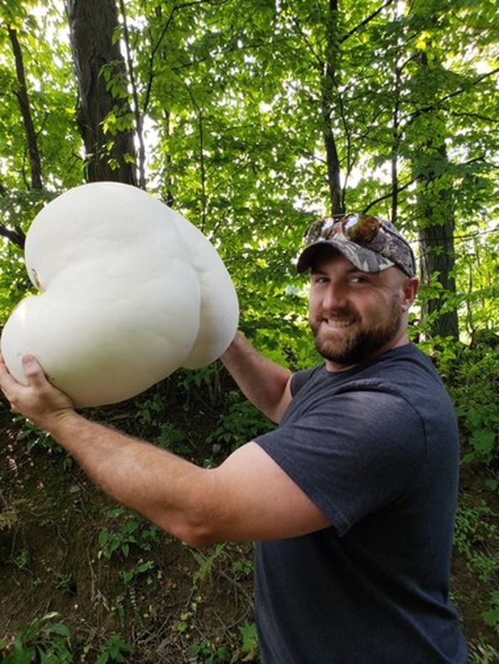 22 Pound Puffball (Source in Comments) | Scrolller