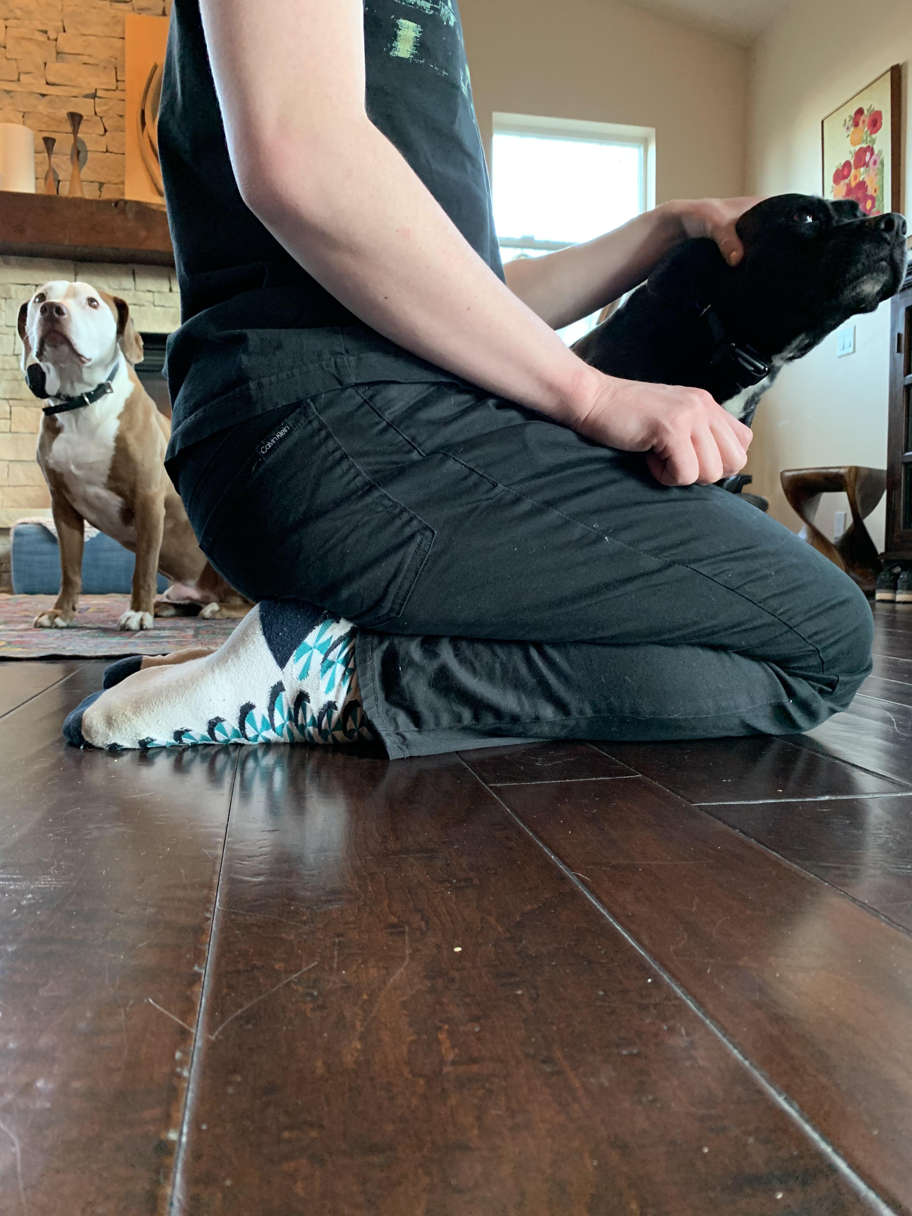 3 months post op anniversary and finally got heel to butt! (Featuring my dogs) | Scrolller