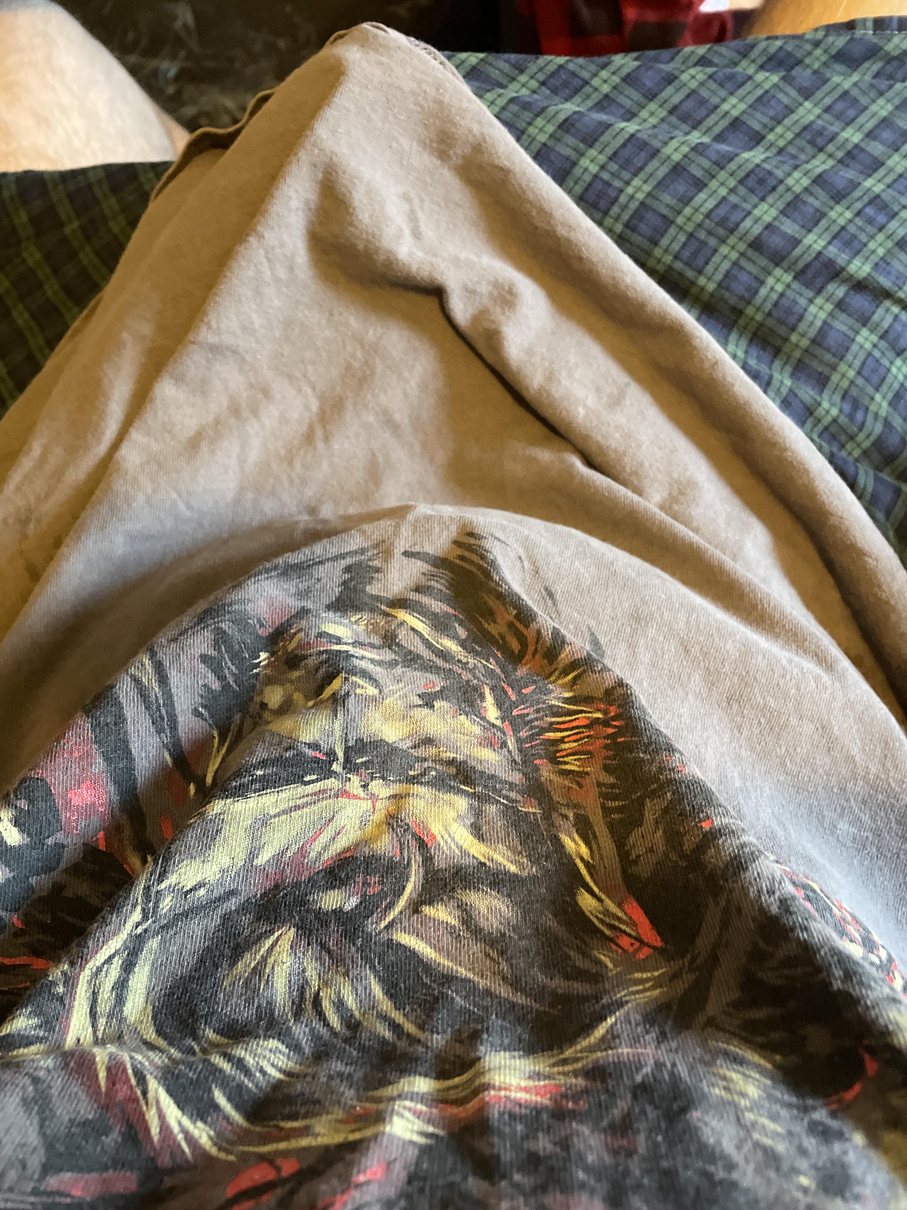 (31) my snake is very solid | Scrolller