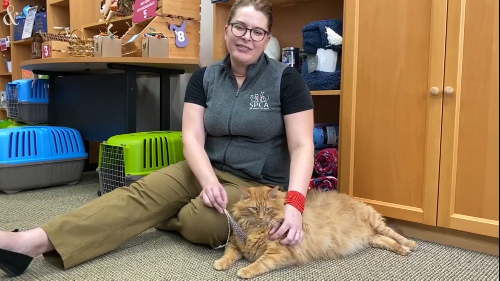 35lb boy named Bazooka | Scrolller