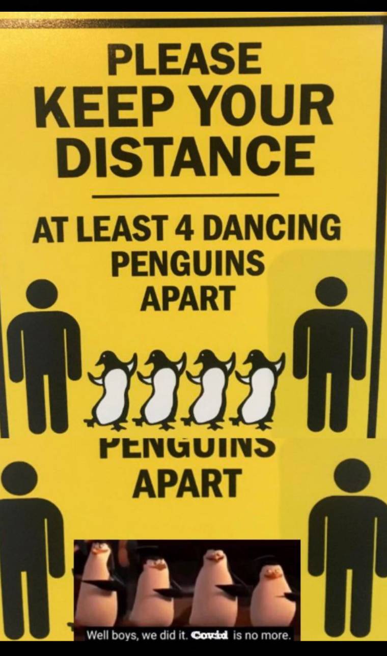 4 dancing penguins | Scrolller