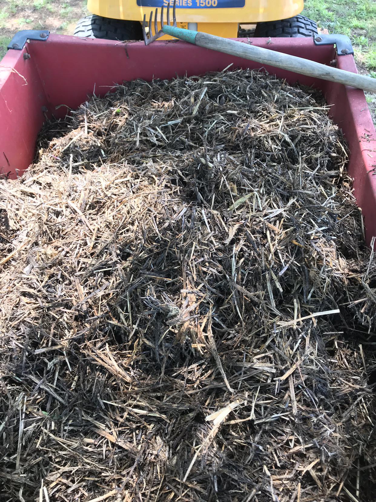 5 month old straw still full of life. Now to work it apart and add it to the gardens. 2 bales ...