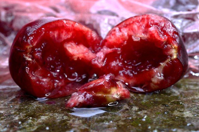 [50/50] Inside of a squished cherry (SFW) | Inside of a badly mutilated rectum (NSFW) | Scrolller