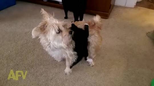 8 seconds | Scrolller