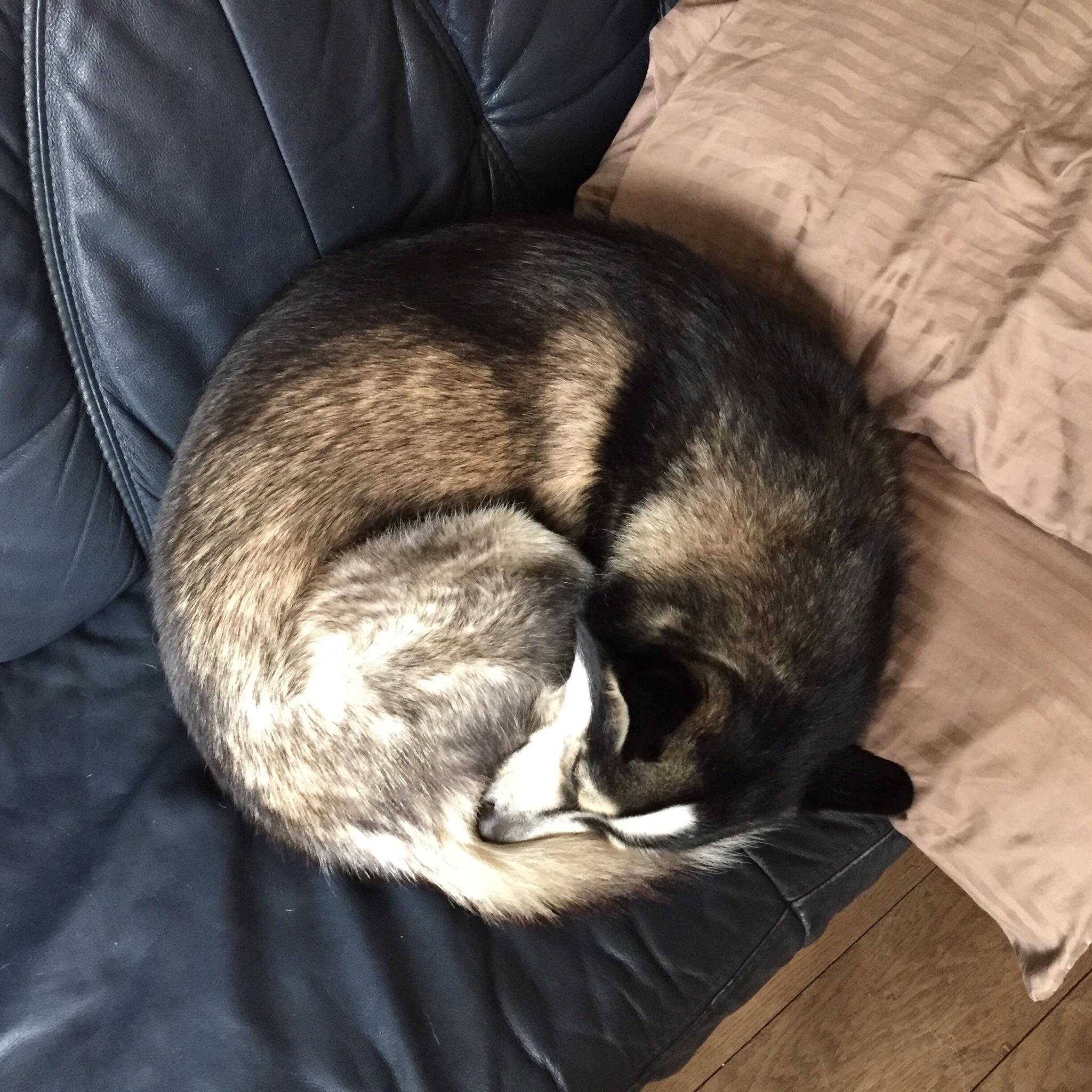 A almost perfect circle. | Scrolller