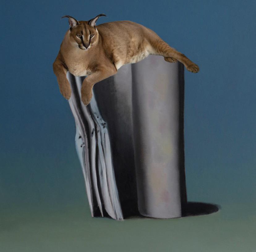 A burning floppa | Scrolller