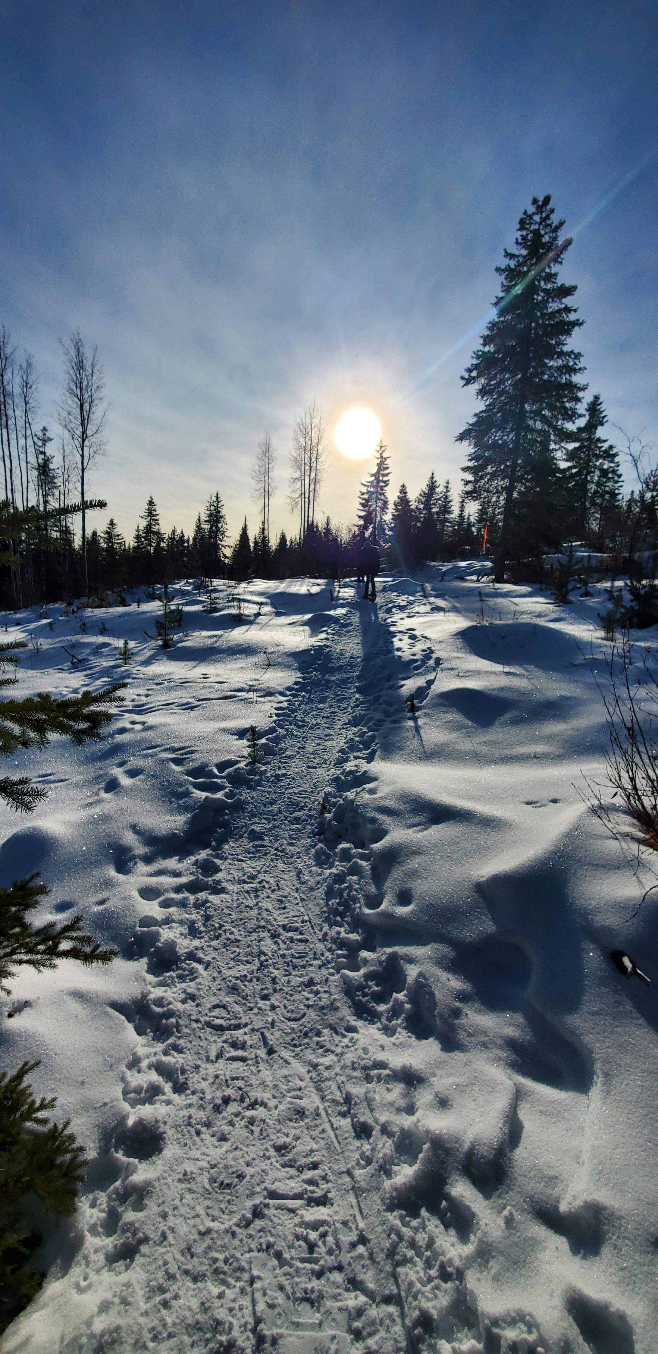 A candid shot from a snowshoeing treck a couple weeks back in the Okanagan Valley, BC, Canada ...