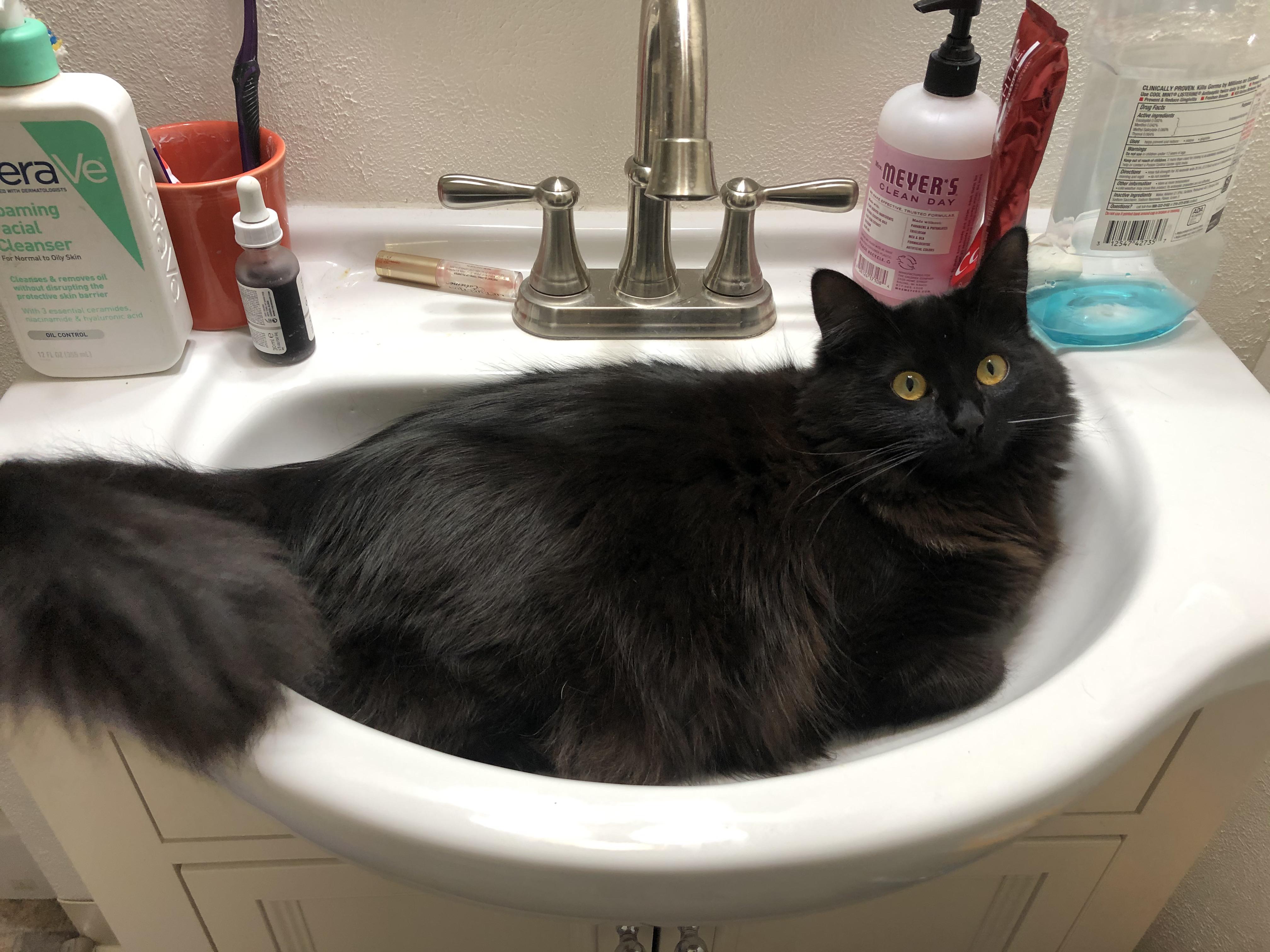 A classic trap | Scrolller