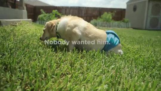 A couple of crips doing their thang [gif.] (/x/r/gifs) | Scrolller