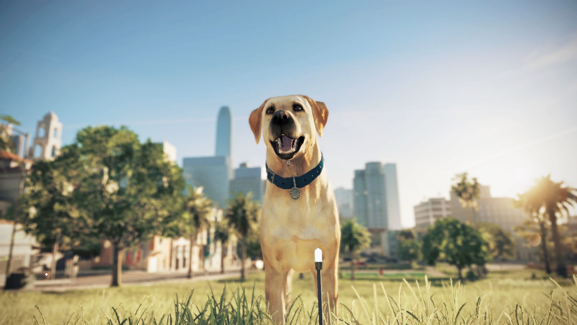 A dog in watch dogs | Scrolller