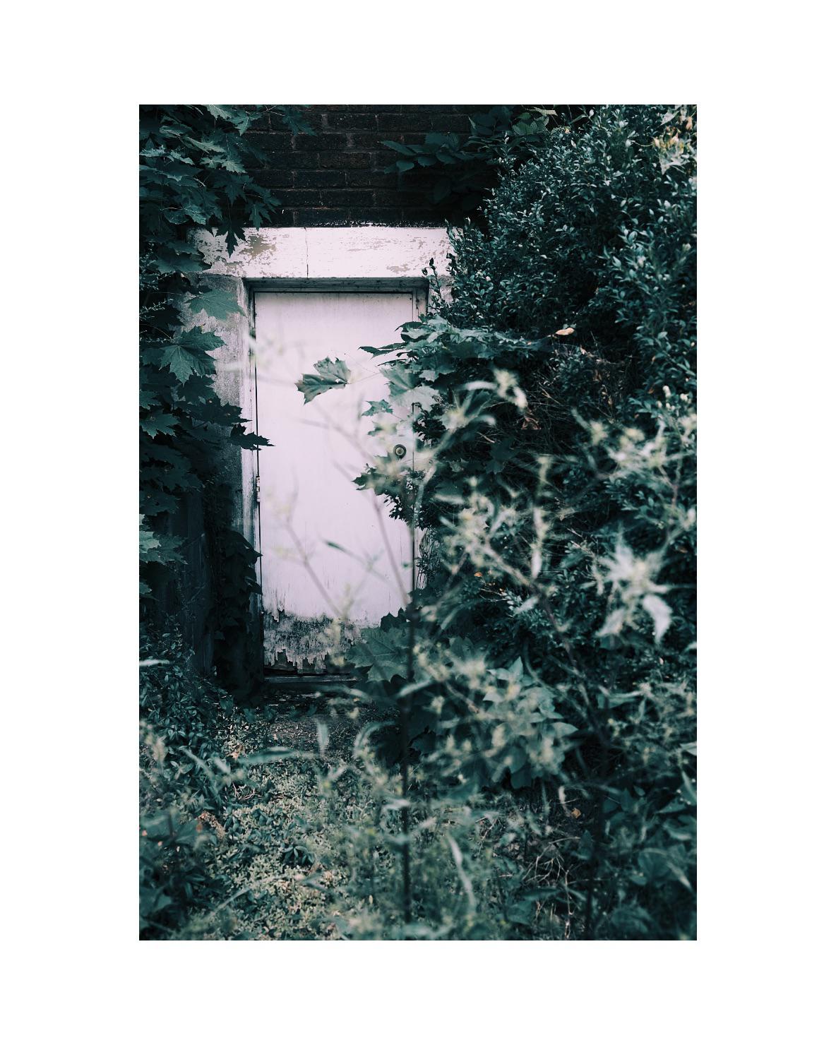 A Door to Somewhere - X100v | Scrolller