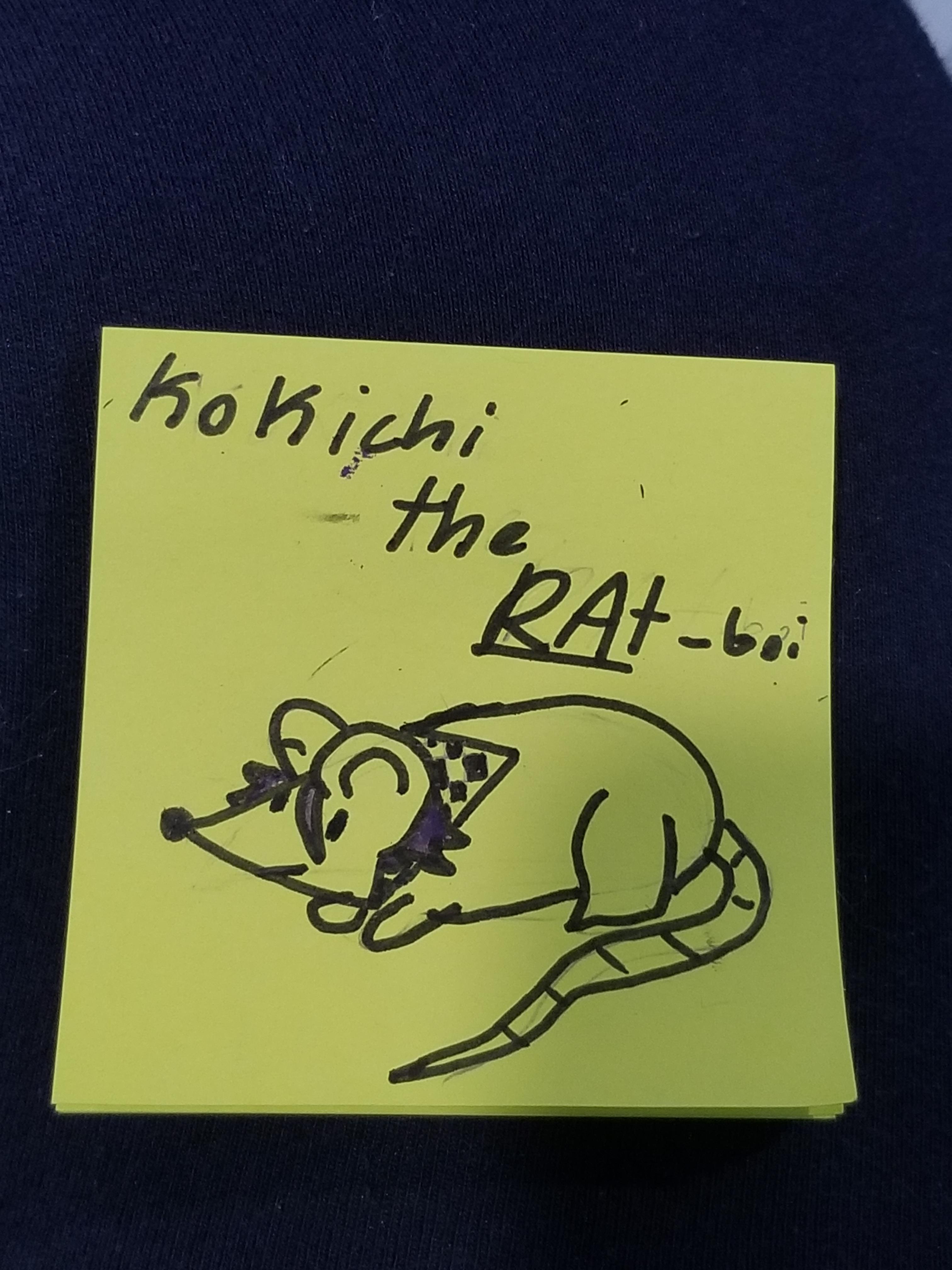 A drawing of best rat boi | Scrolller