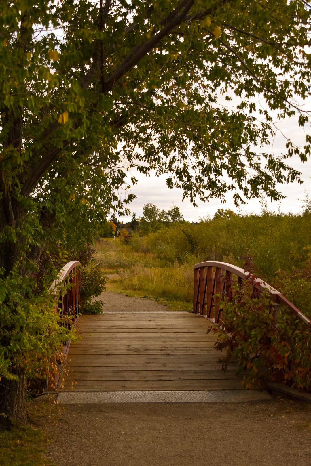 A E Wilson Park | Scrolller