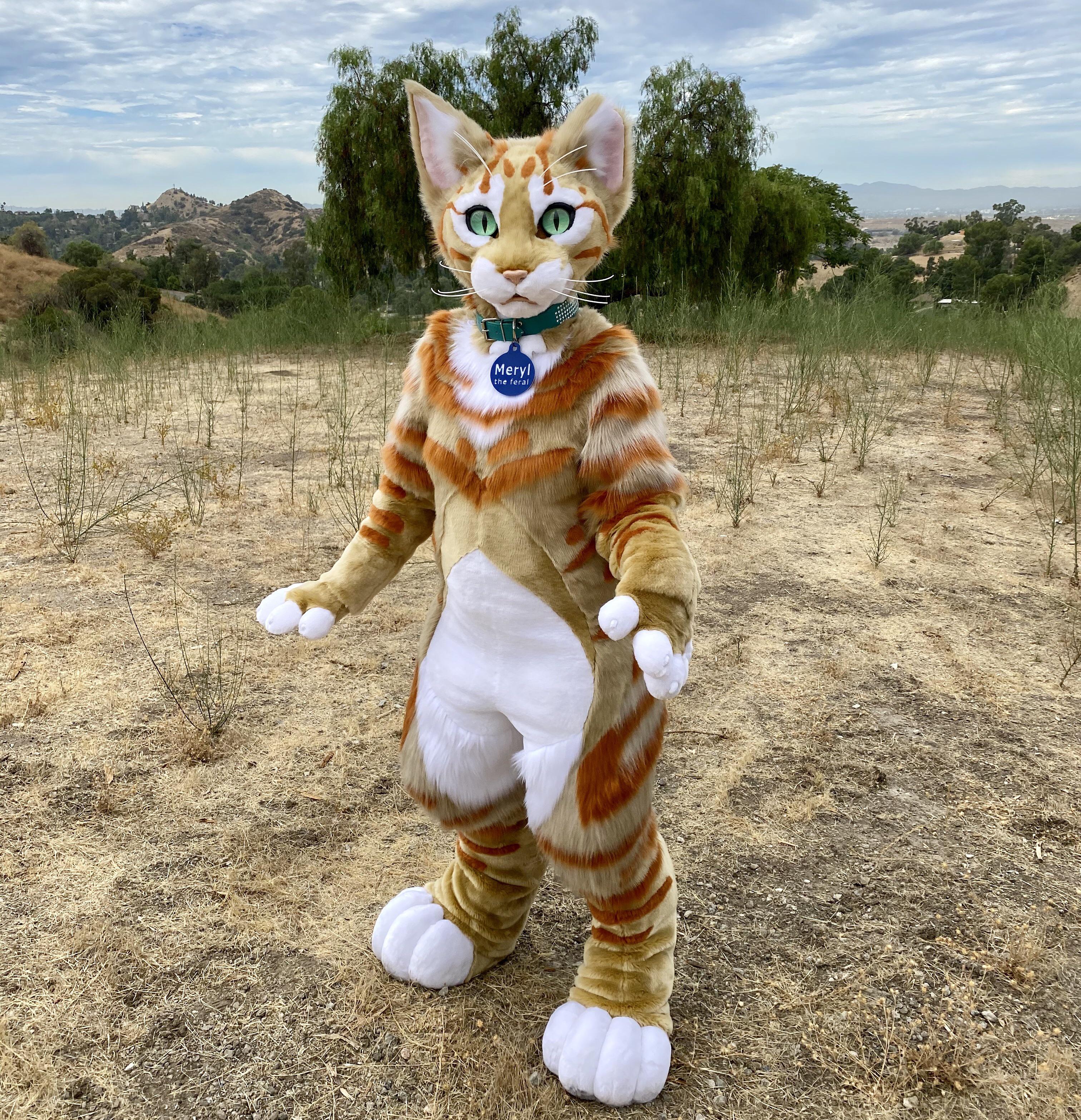 A feline flavor for fursuitfriday | Scrolller