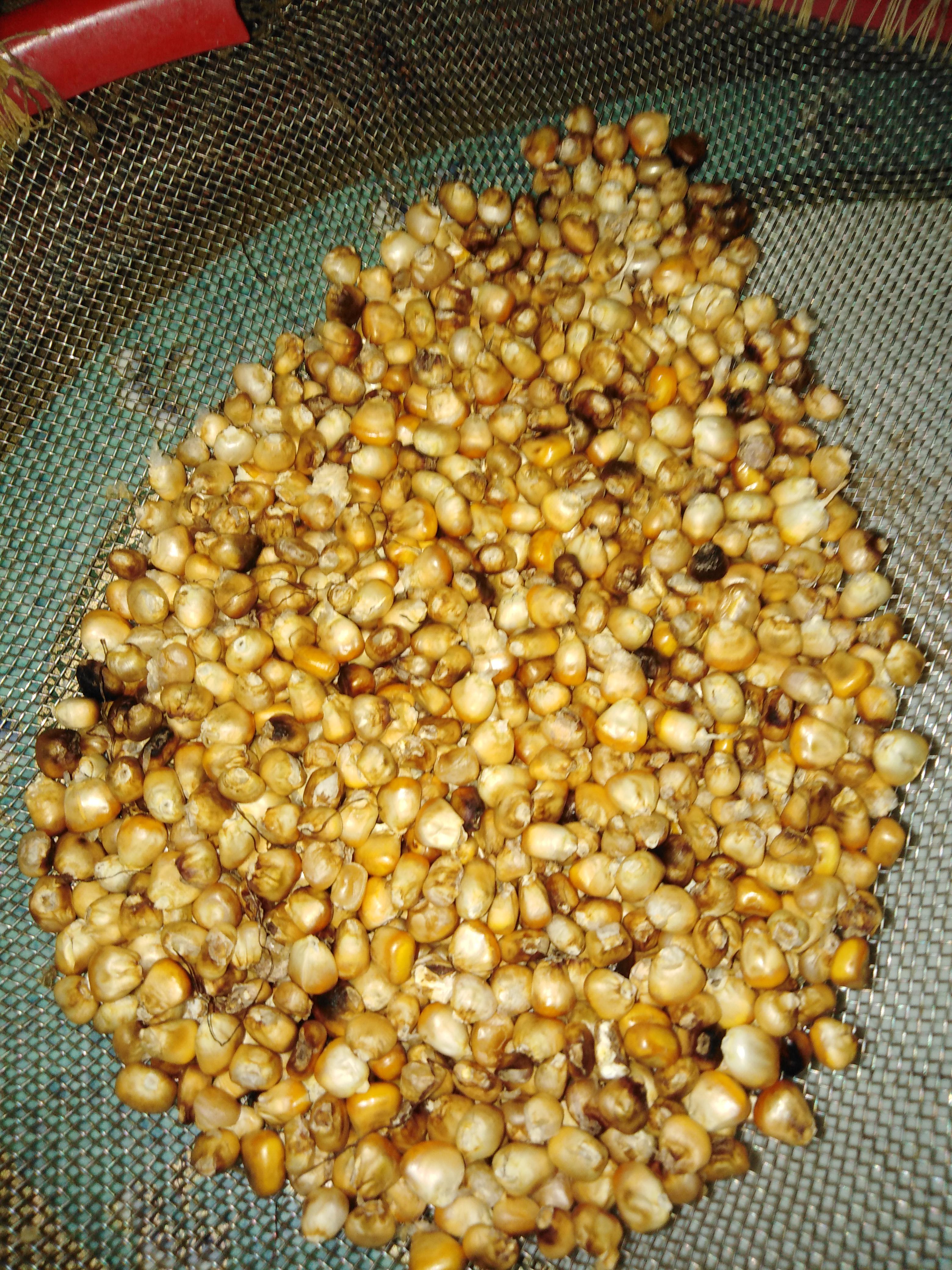 A fried sweet corn. | Scrolller