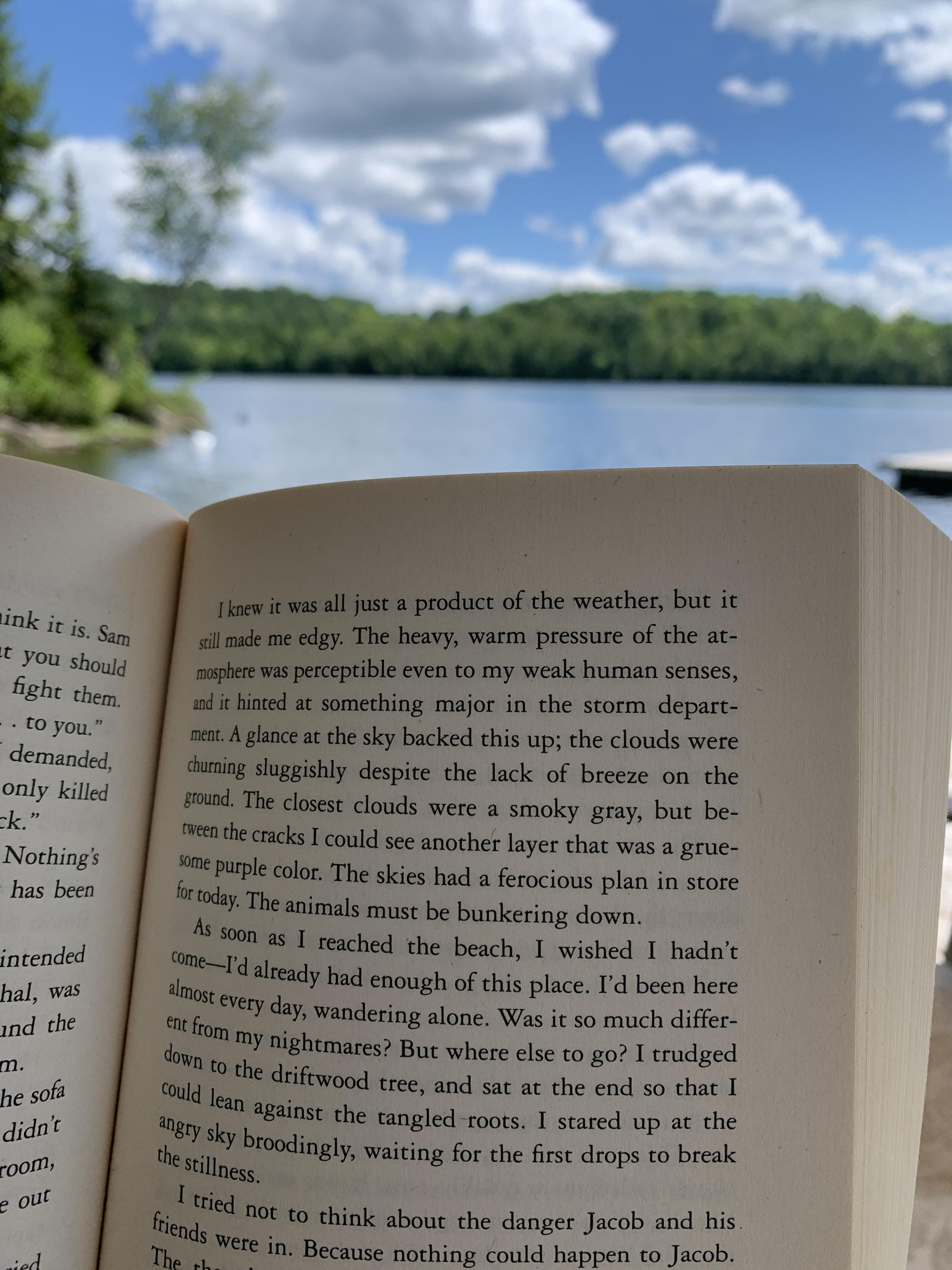 A great view for reading—Bella about to go cliff diving | Scrolller