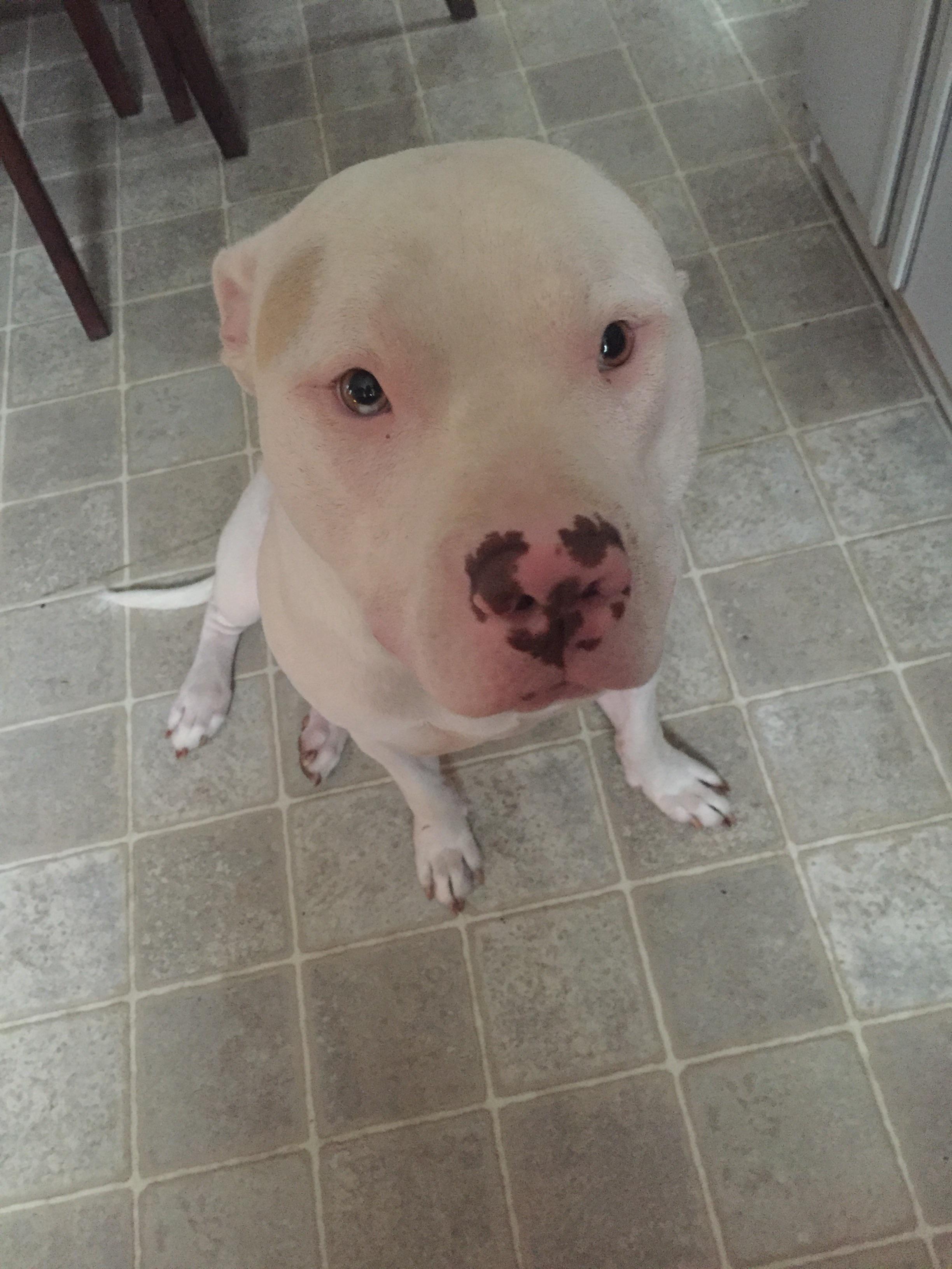 A handsome boy | Scrolller