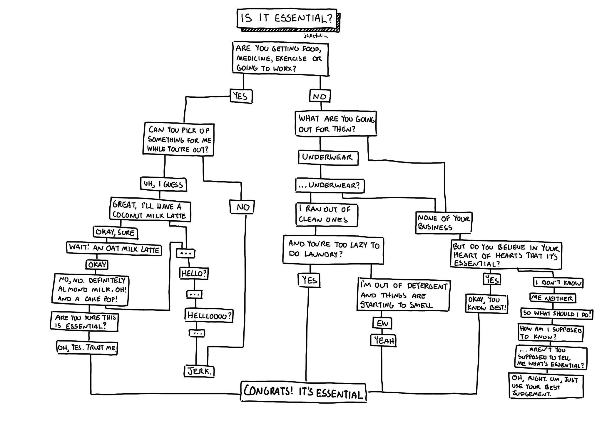 A helpful flowchart to determine what is and what isn’t an essential trip | Scrolller