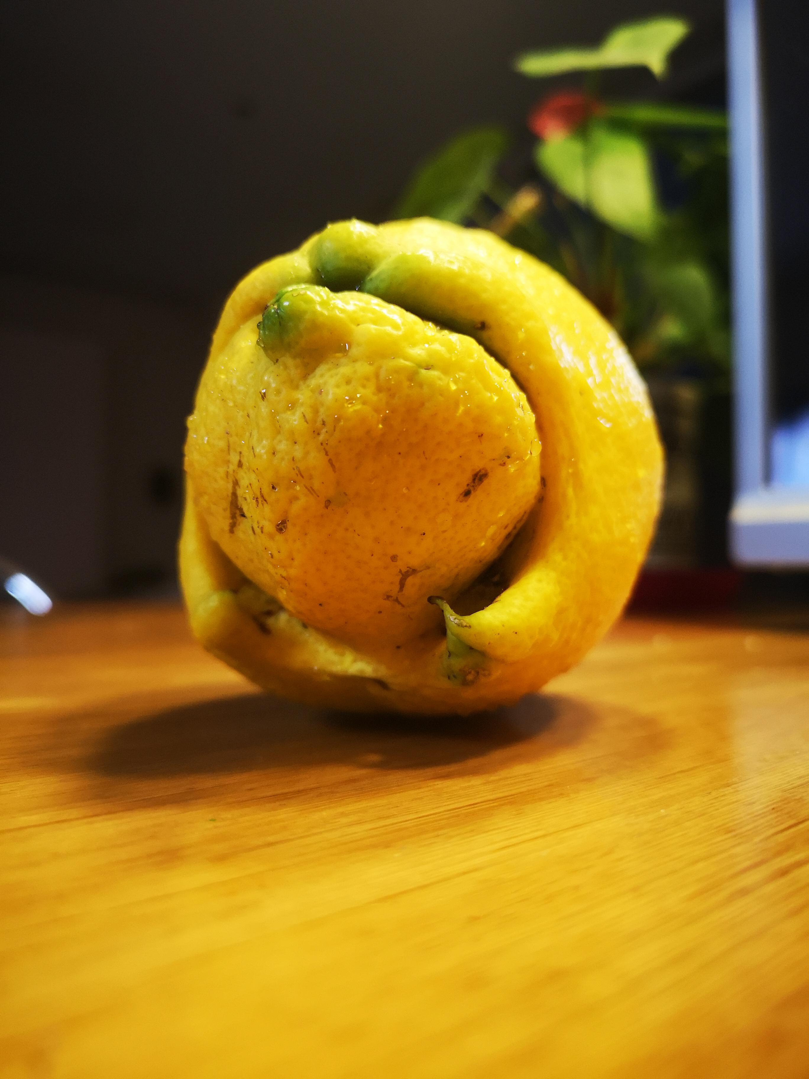 A lemon being devoured by another one | Scrolller