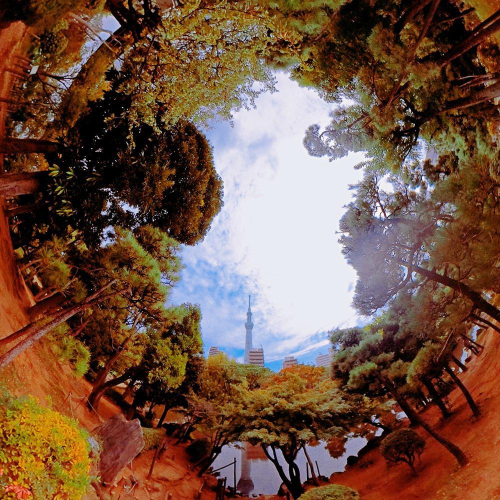 A little different view on the Tokyo Skytree from a nearby park | Scrolller