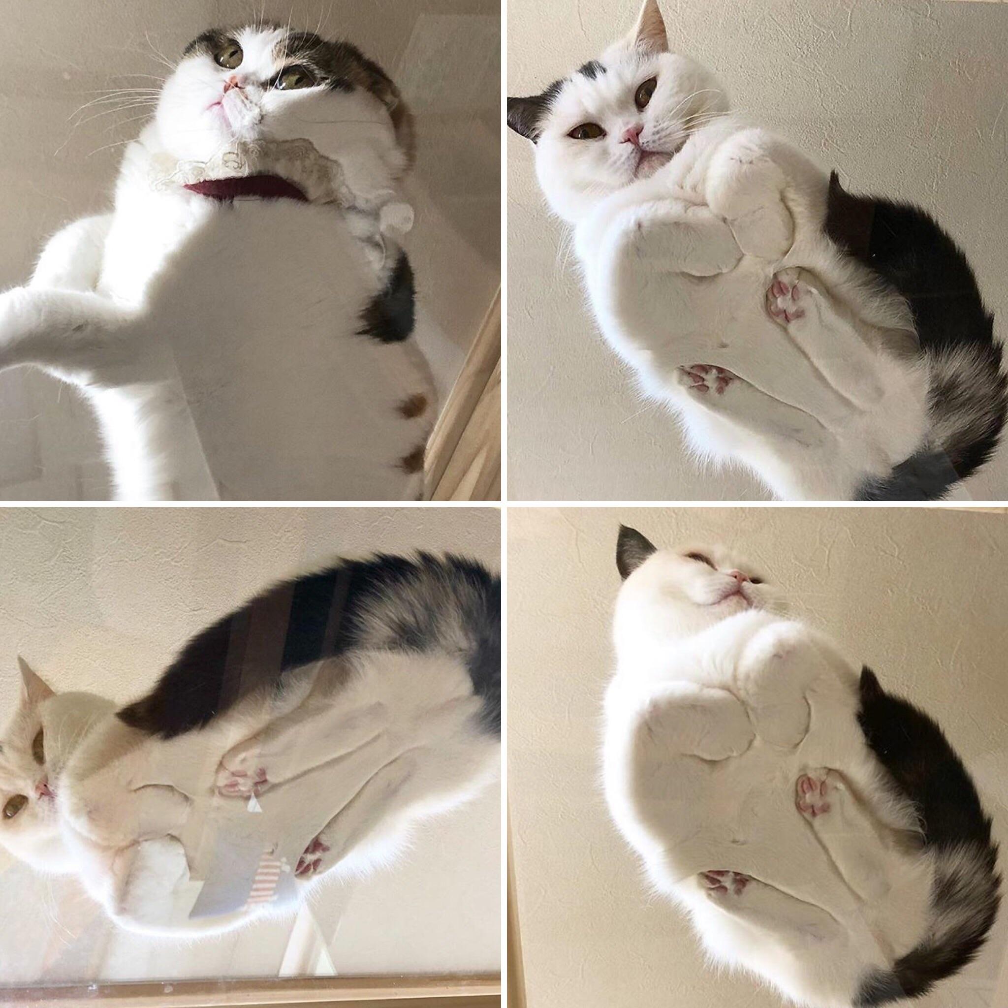 a little loaf | Scrolller