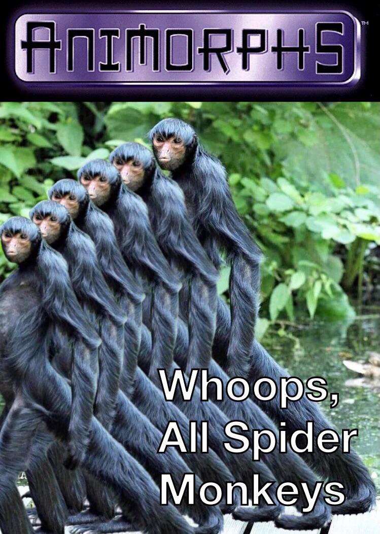 A milleniall’s attempt at Gen Z humor | Scrolller