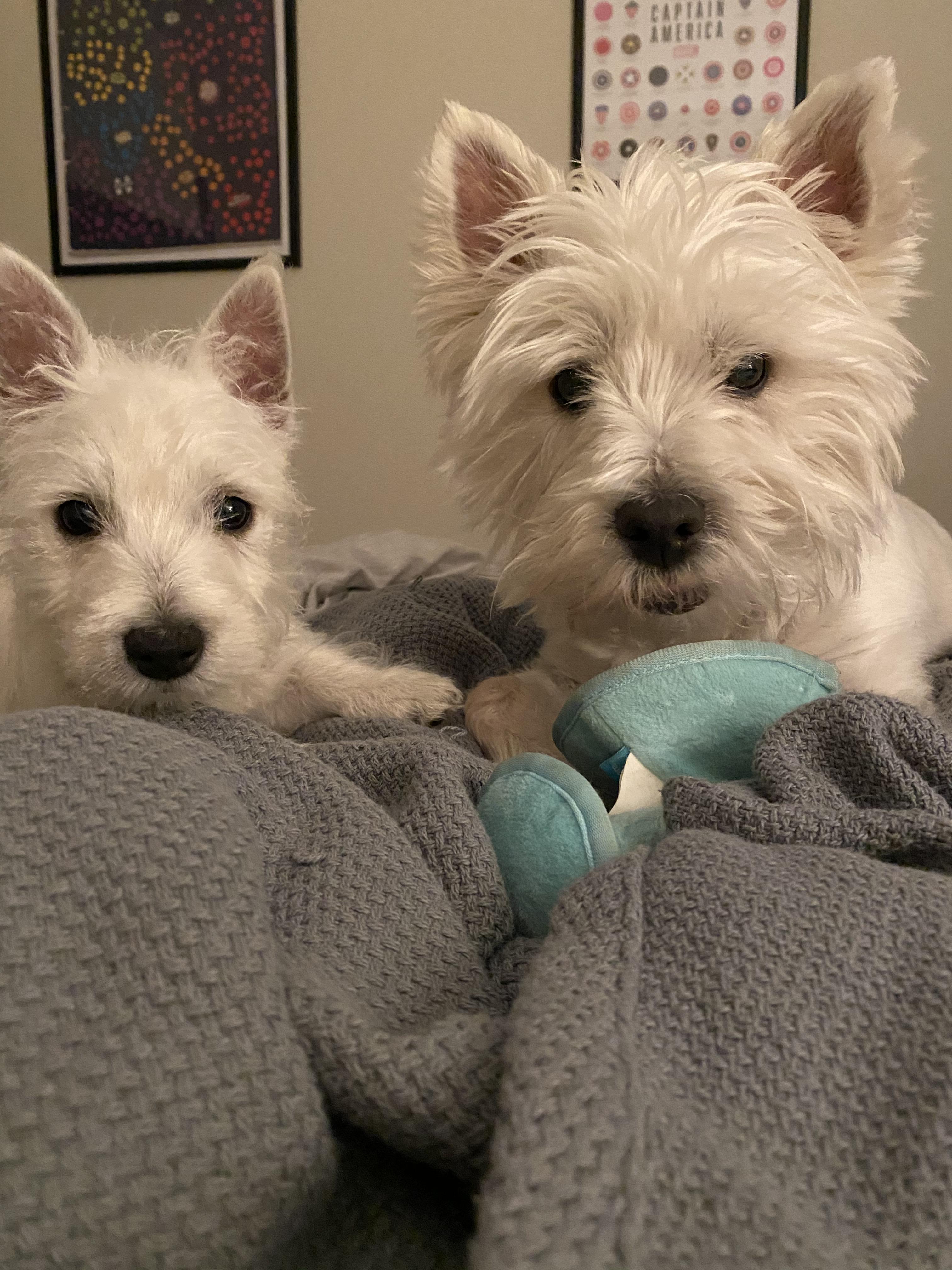 A moment of sibling camaraderie | Scrolller