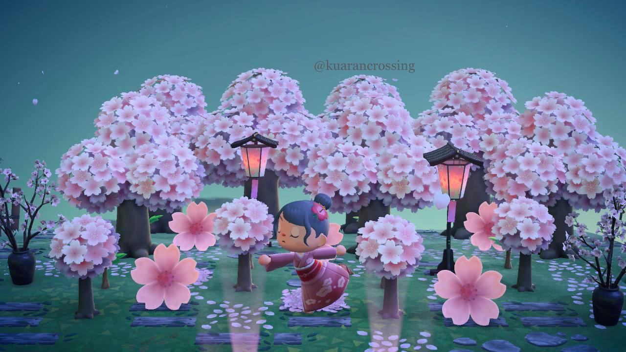 A moment of Zen 🌸 | Scrolller