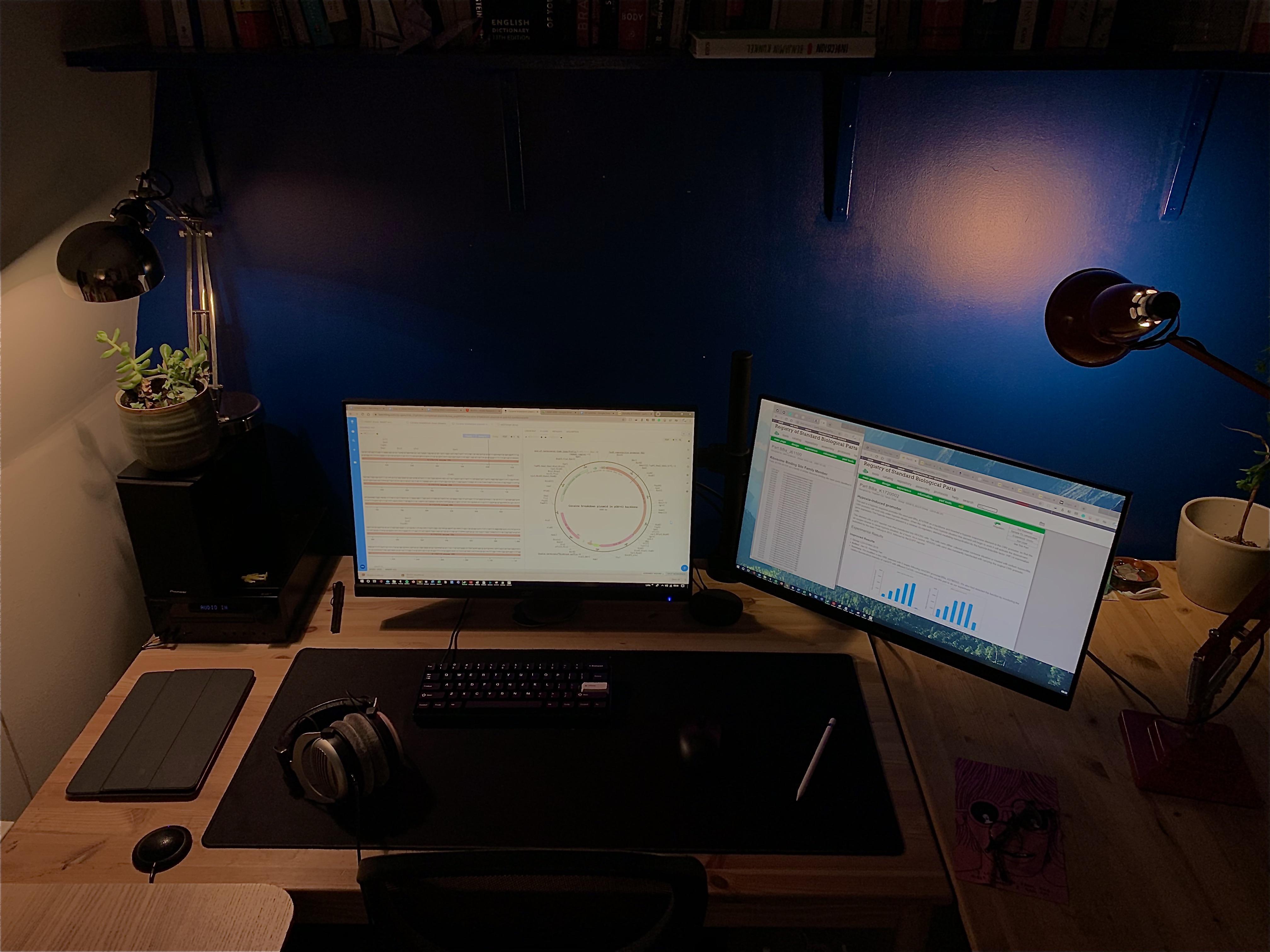 a nice Setting | Scrolller