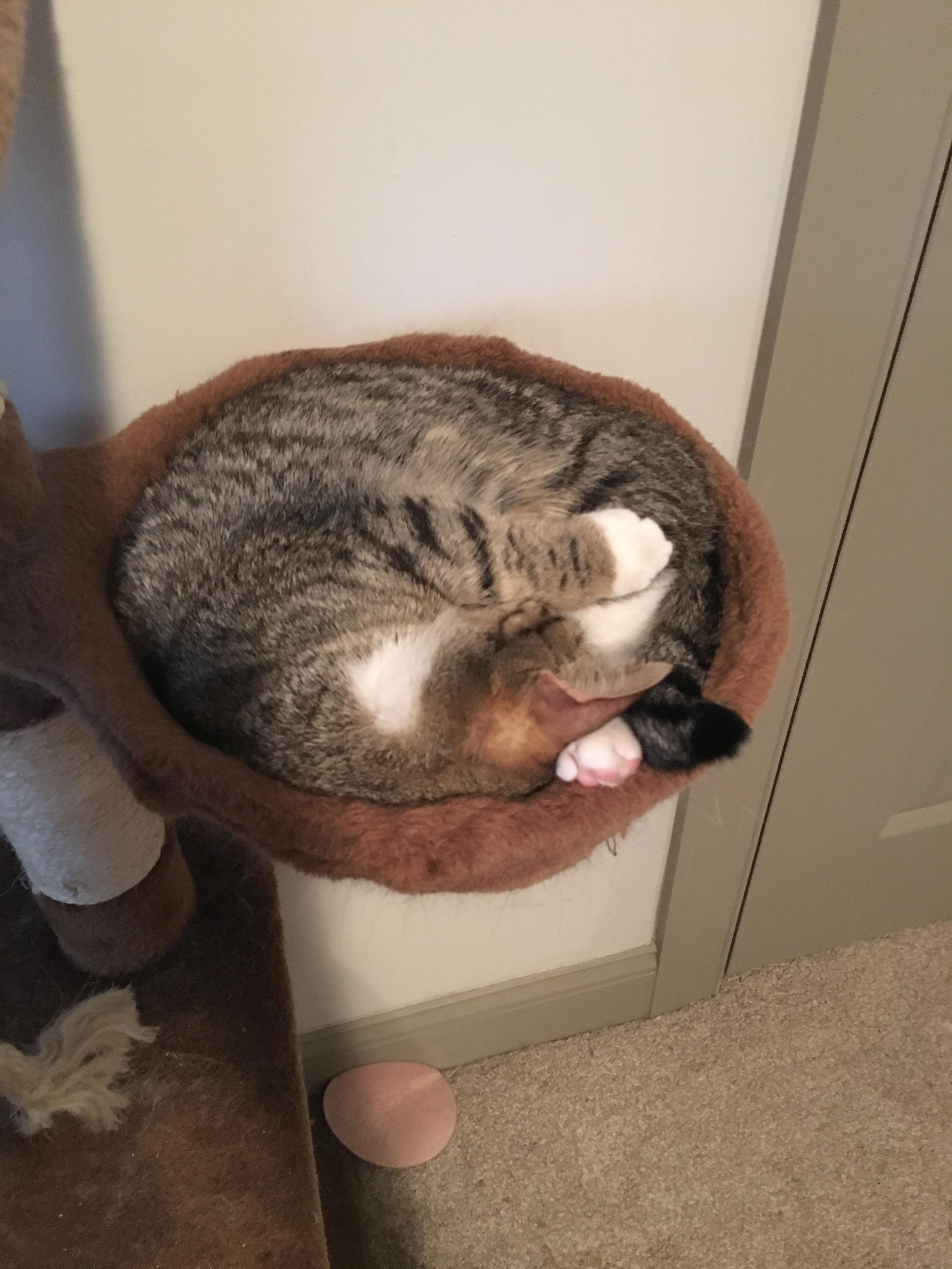 A perfect circle. | Scrolller