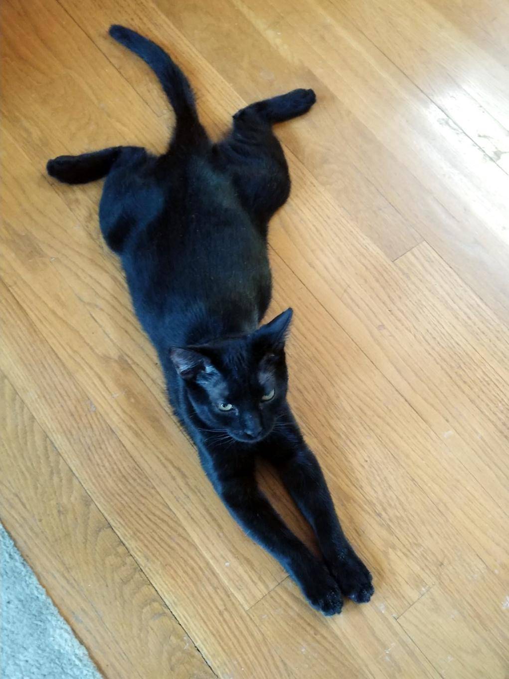 A perfectly normal way to sit! | Scrolller