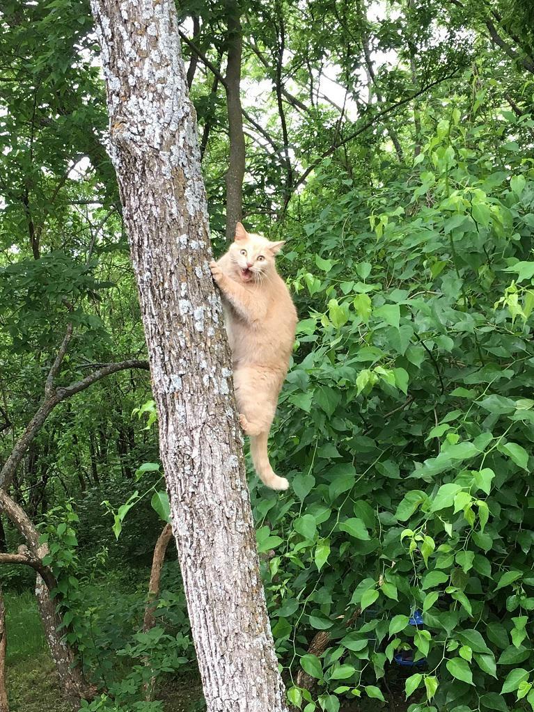 A picture of Mister that never fails to make me laugh | Scrolller