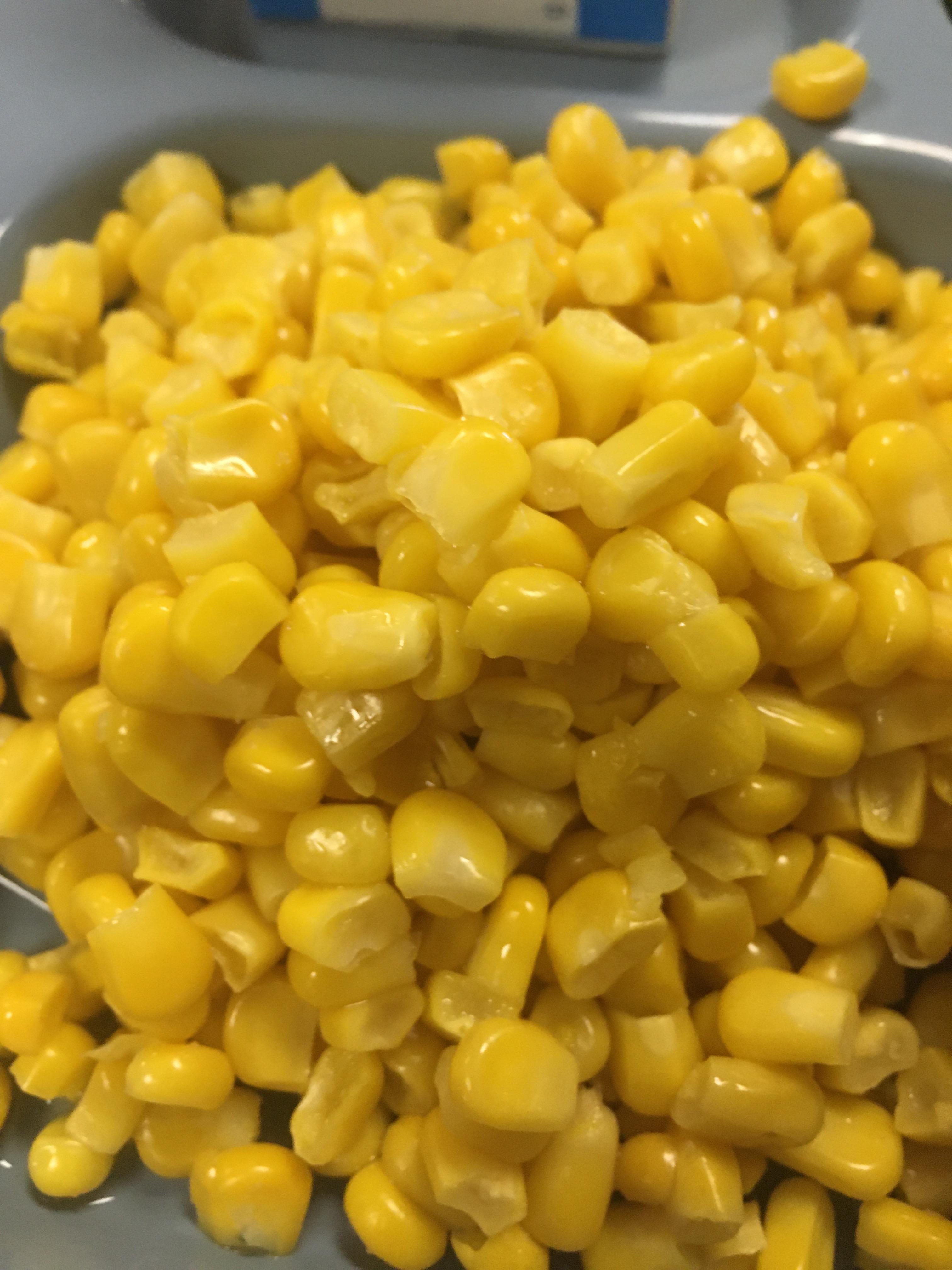 A pile of slaughtered corn, circa 2019 | Scrolller