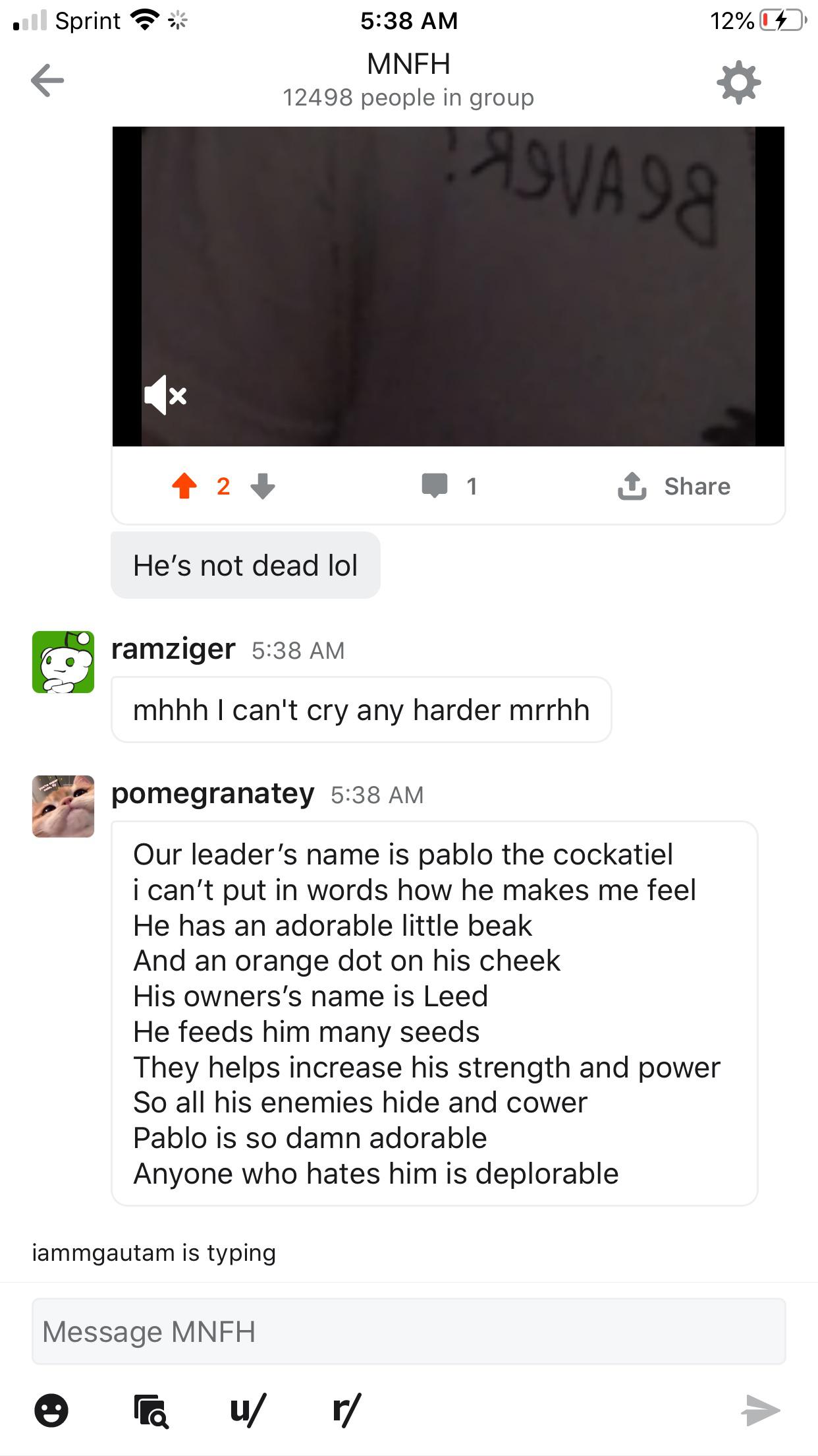 A poem about our feather lord Pablo :3 | Scrolller