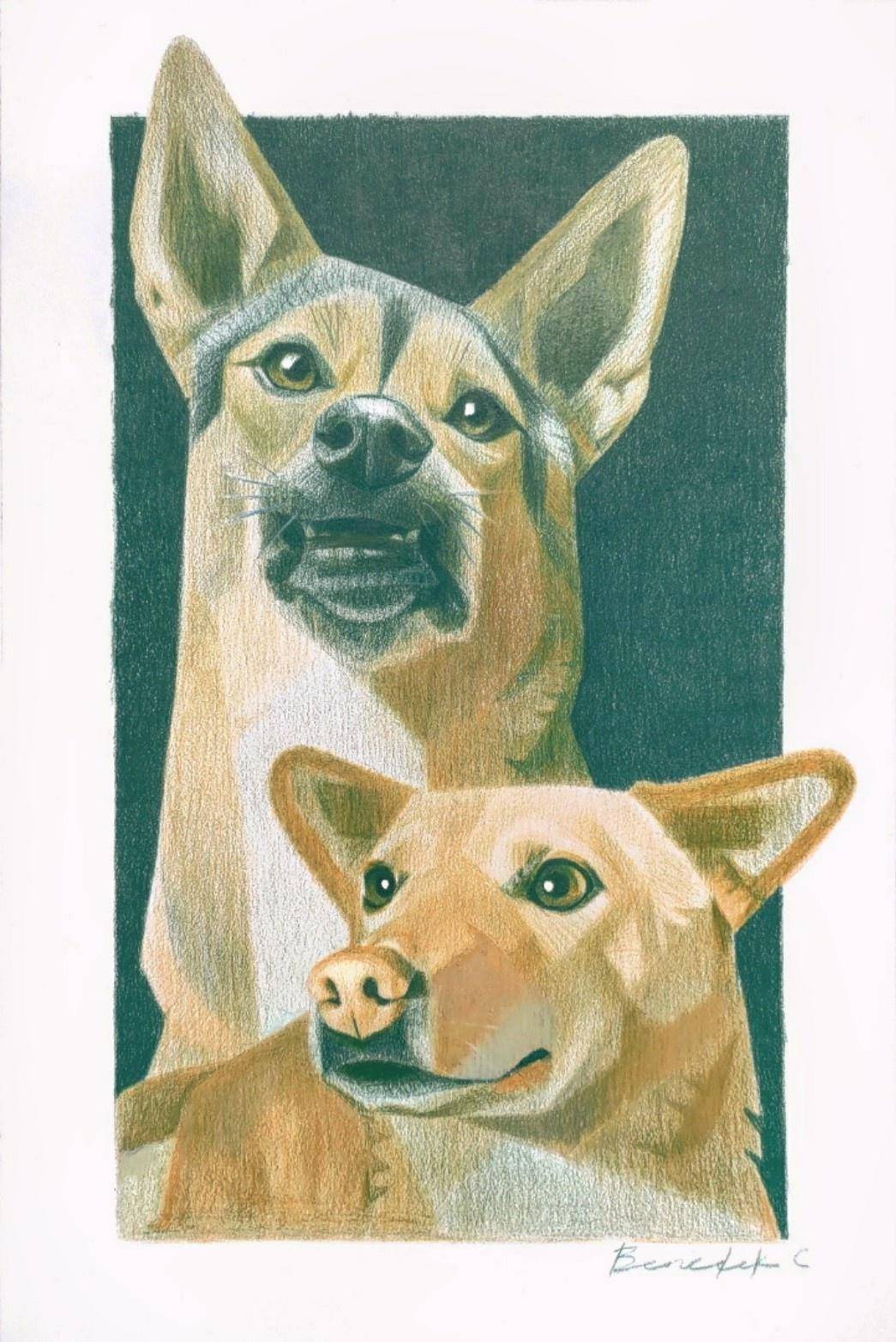 A Portrait Of Two Brothers | Scrolller