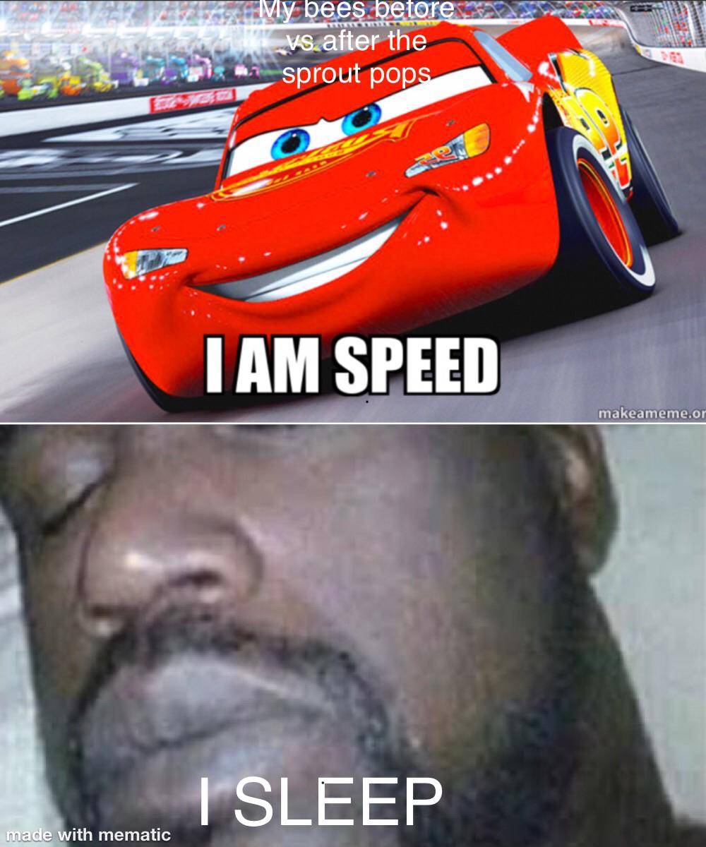 A quick sloppy meme I pulled from my mematic | Scrolller